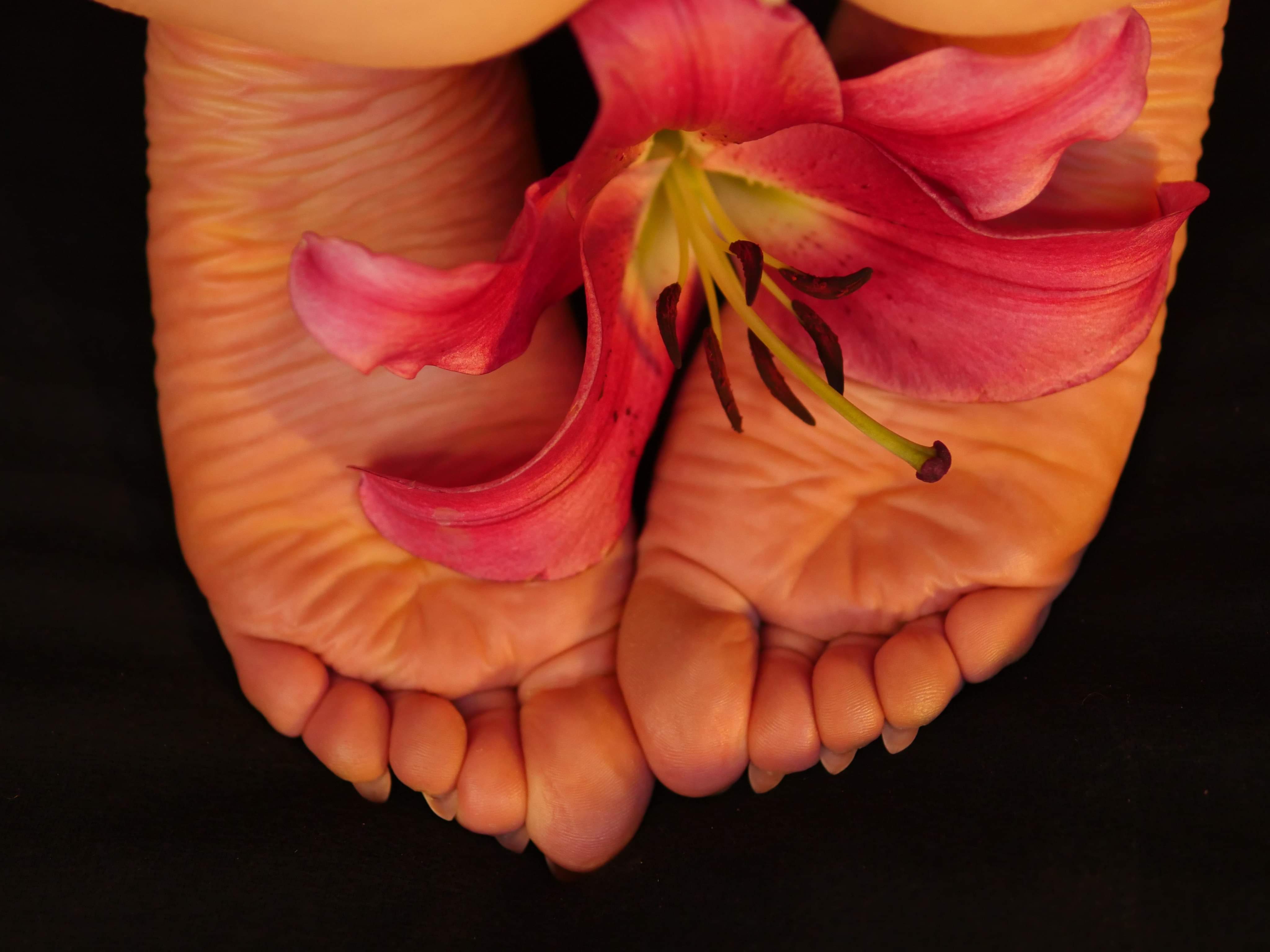 Soles And Lily Scrolller