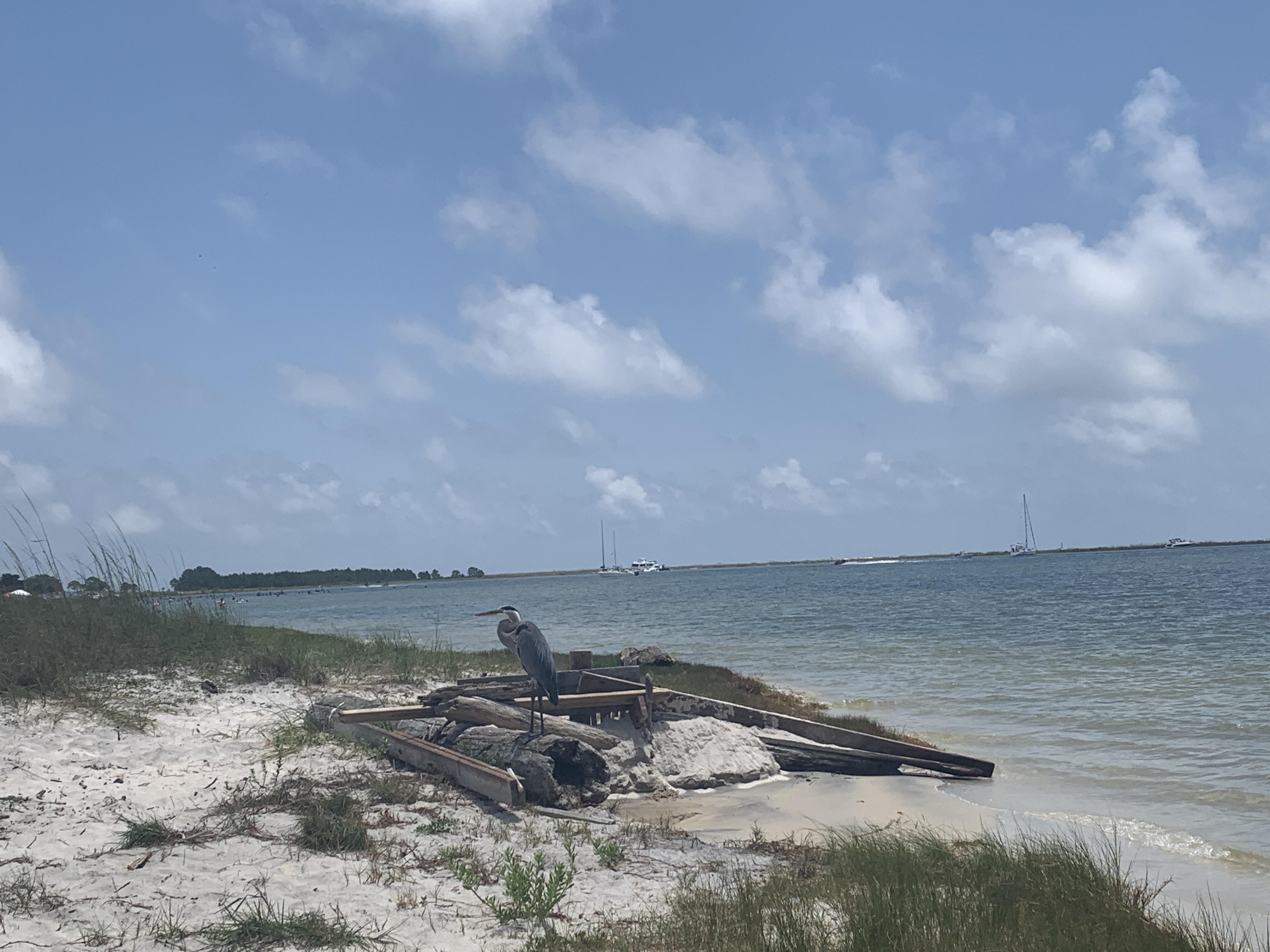 Some beach, somewhere. Dauphin Island, AL. | Scrolller