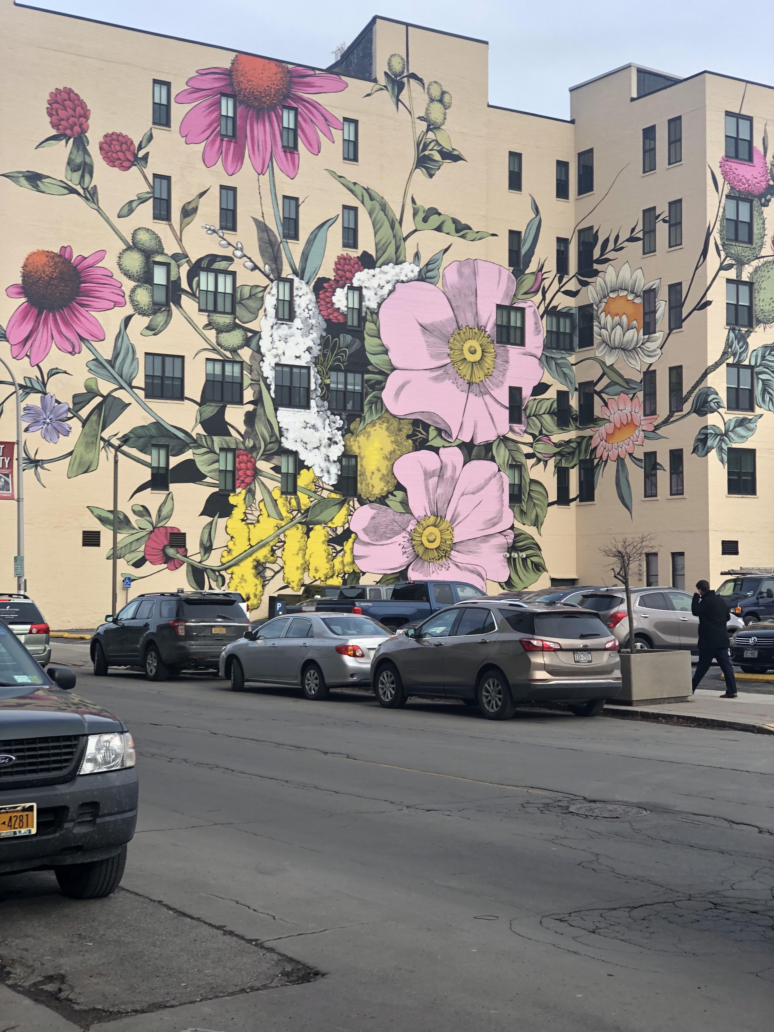 Some bloomage on a walk in Buffalo, NY | Scrolller