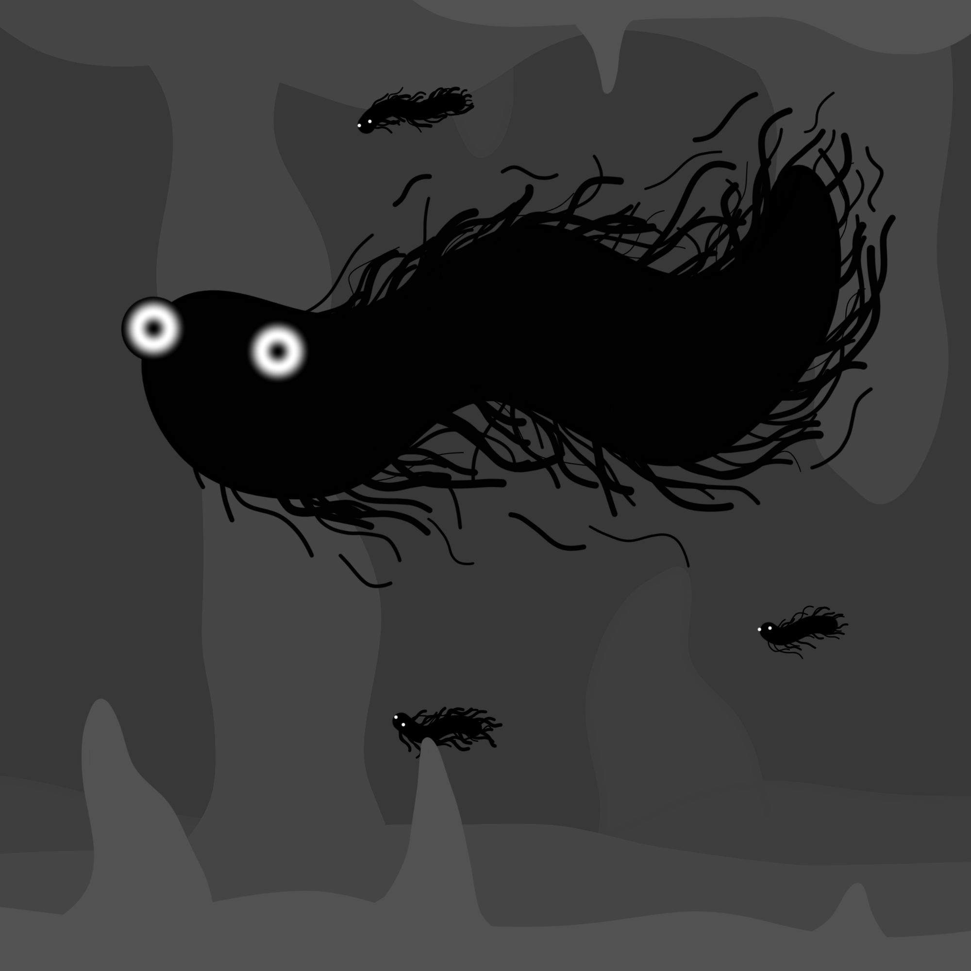 Some creatures migrating | Scrolller