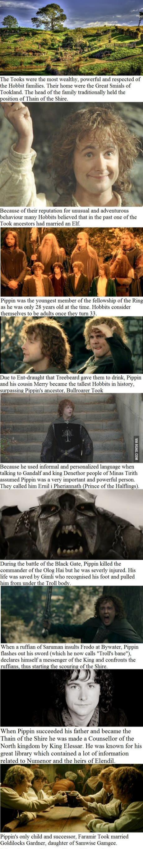 Some facts about Pippin | Scrolller