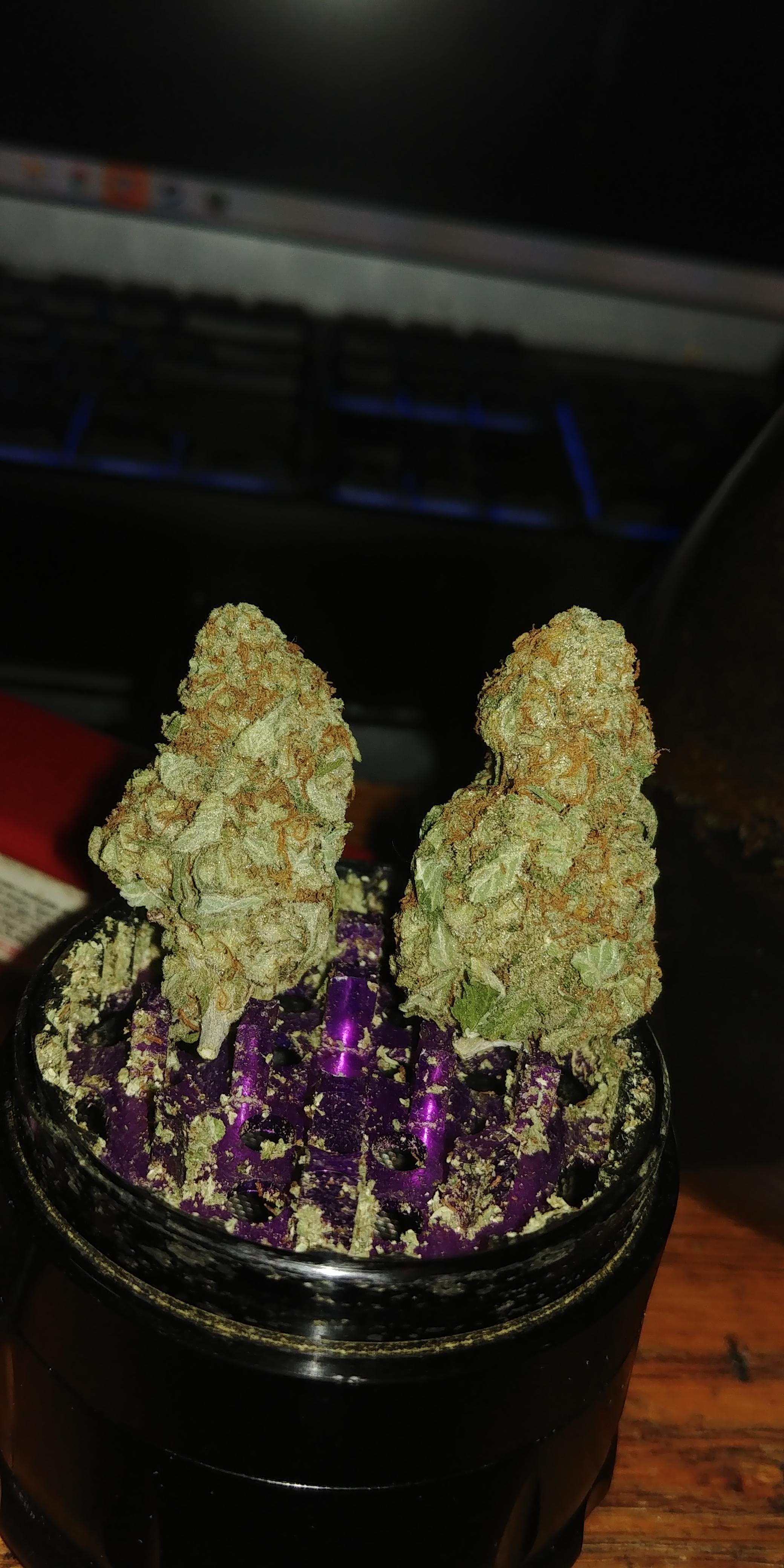 Some og kush | Scrolller