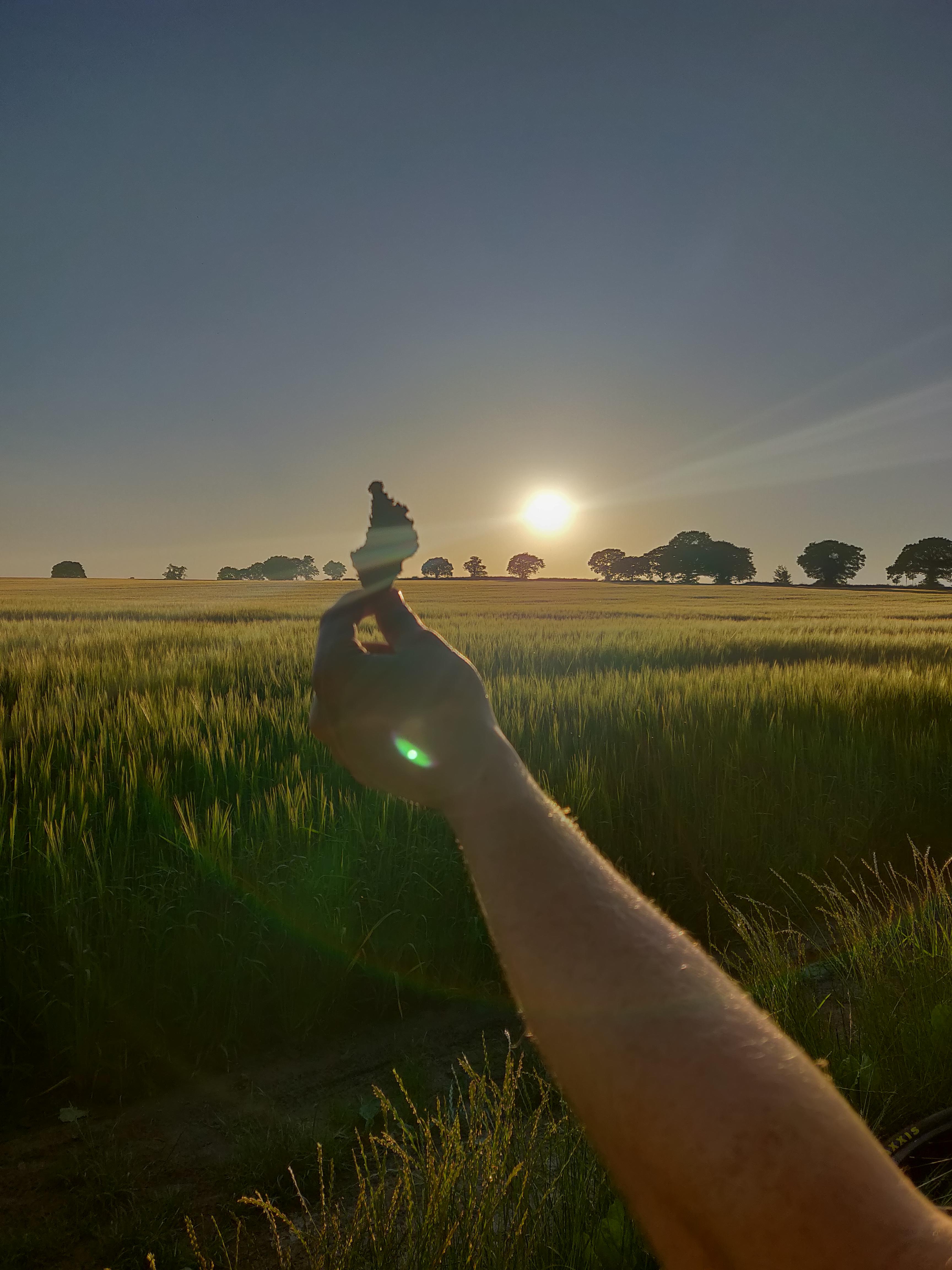 Some UK Trees | Scrolller