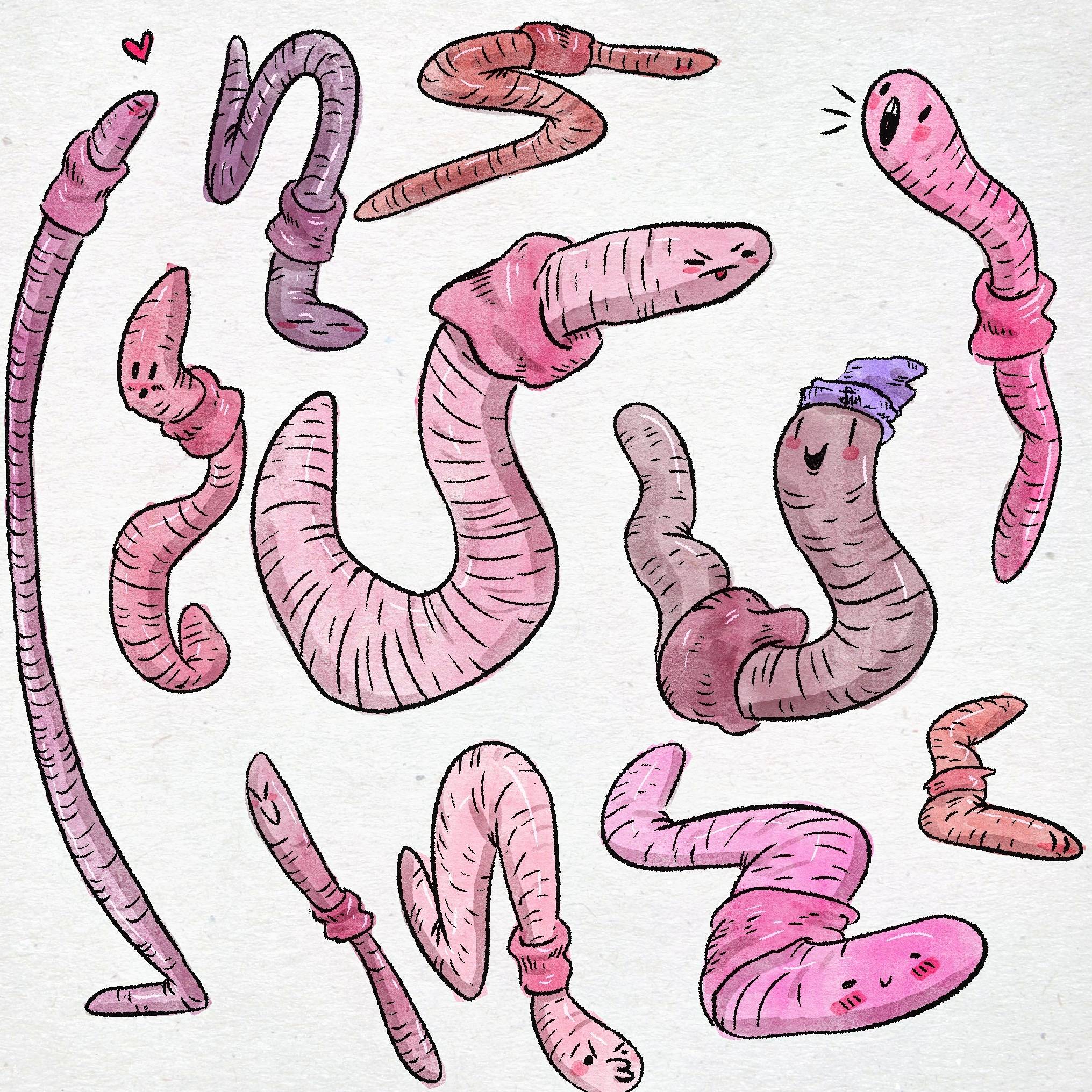 Some Worms | Scrolller