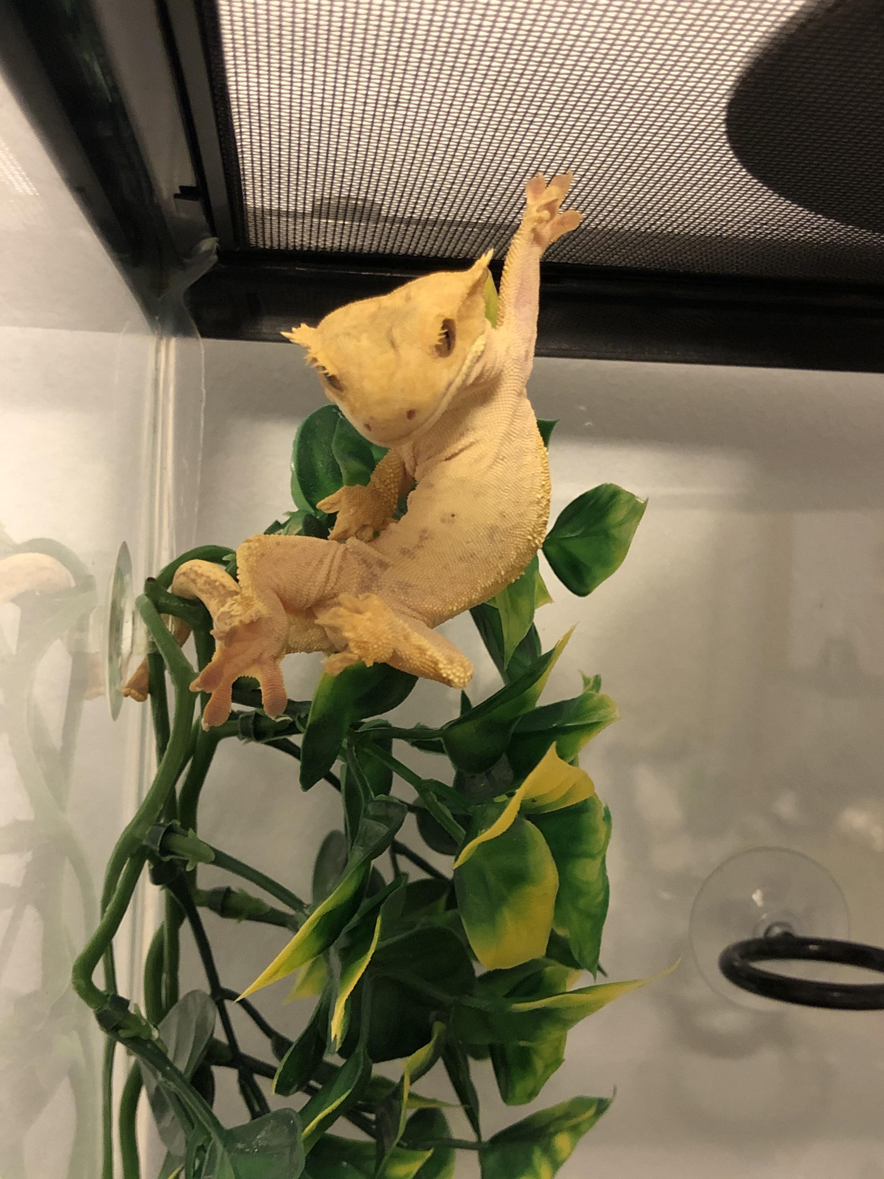 Someone got stuck | Scrolller