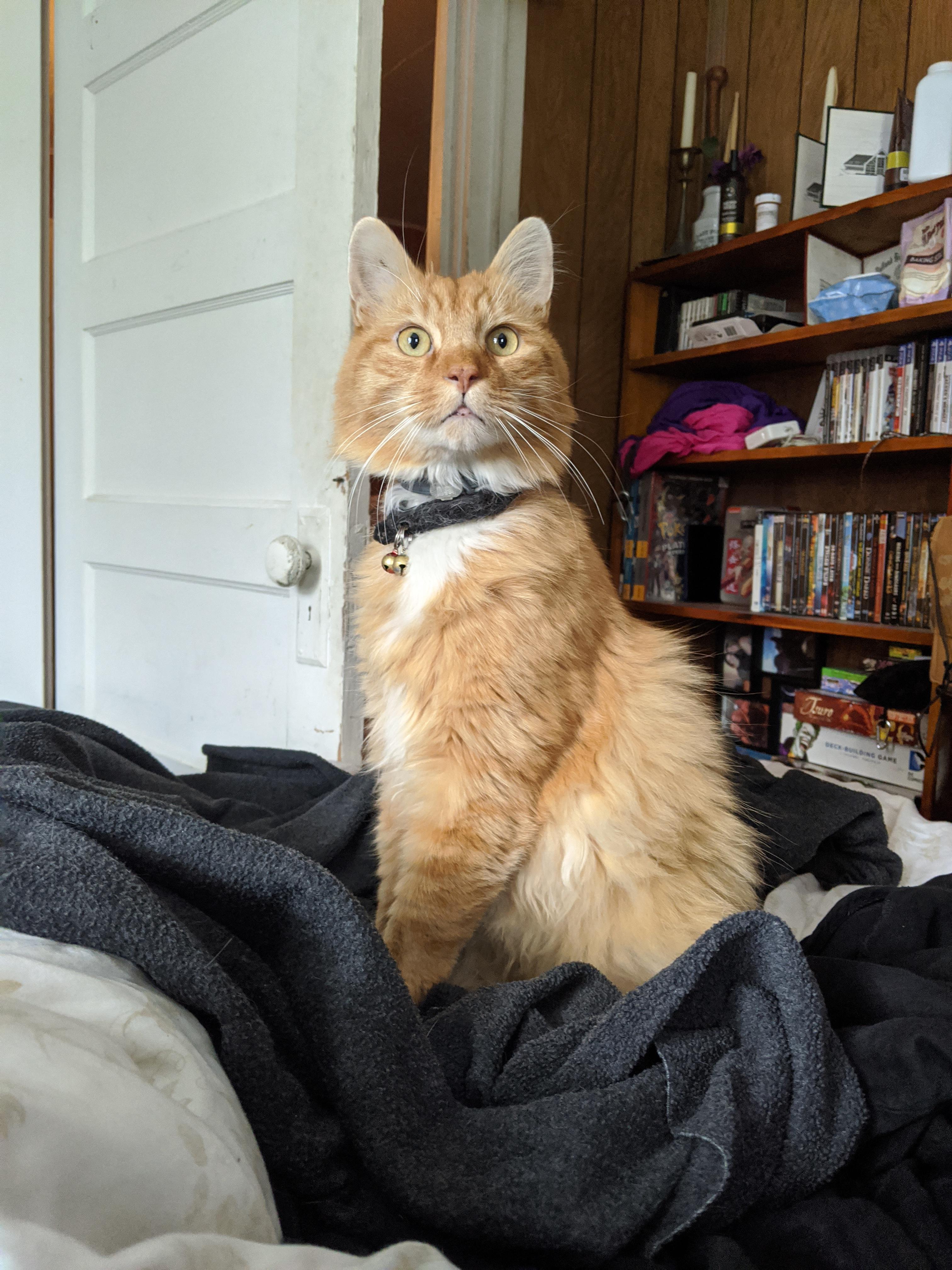 Someone is shoveling snow outside. #triggered | Scrolller