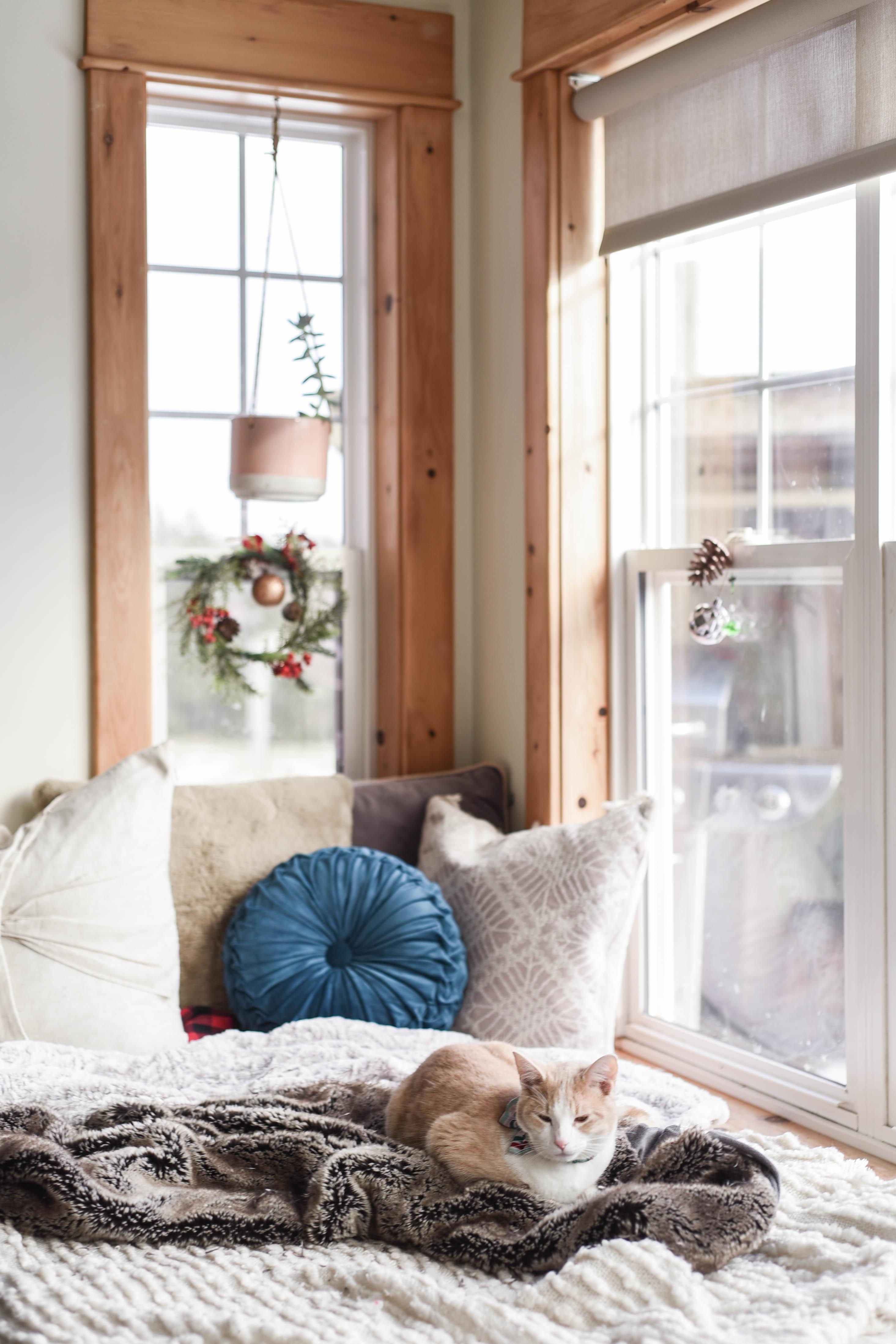 Someone's hogging my cozy reading spot. | Scrolller