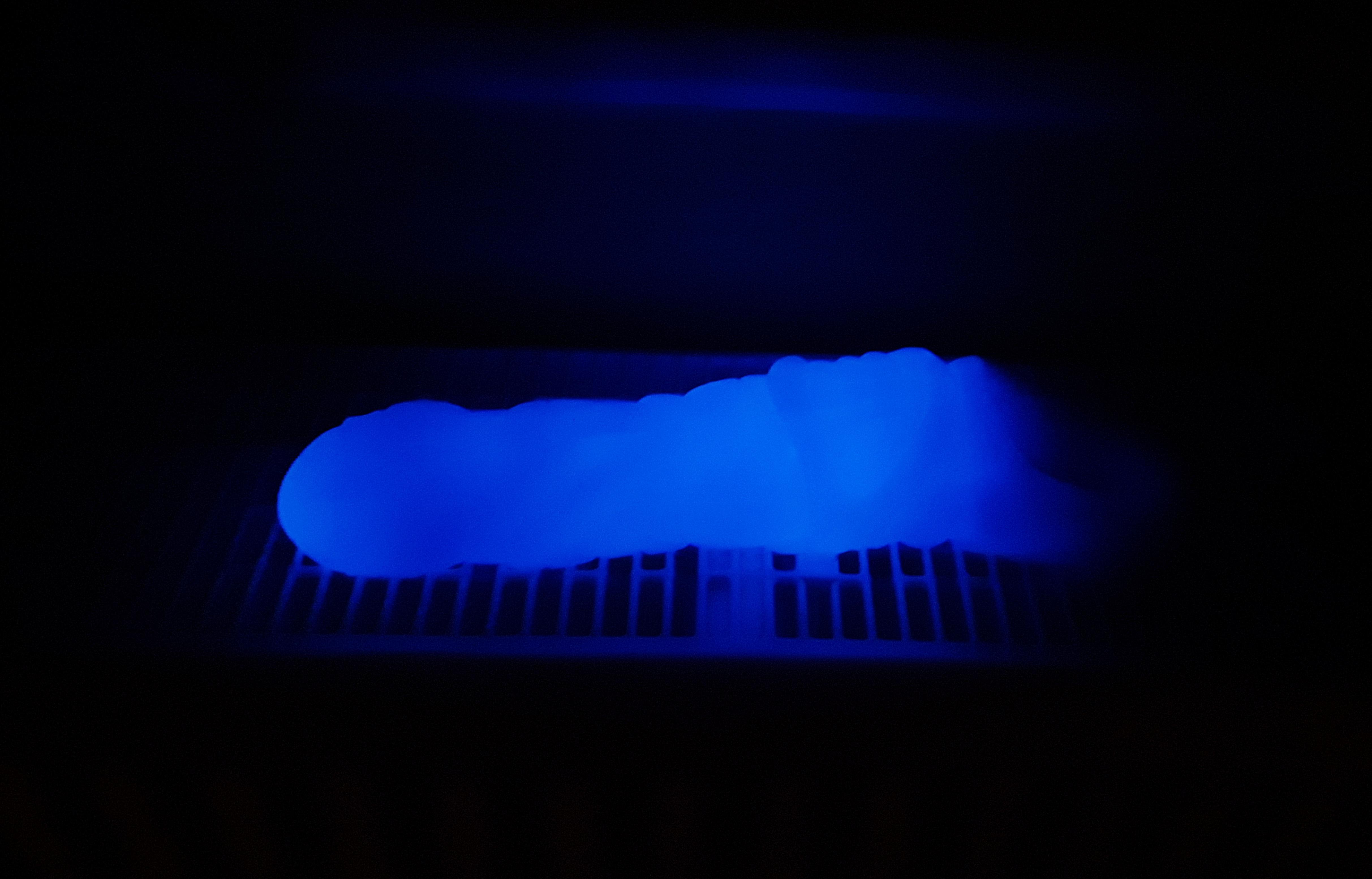 Something is out there in the dark.... | Scrolller