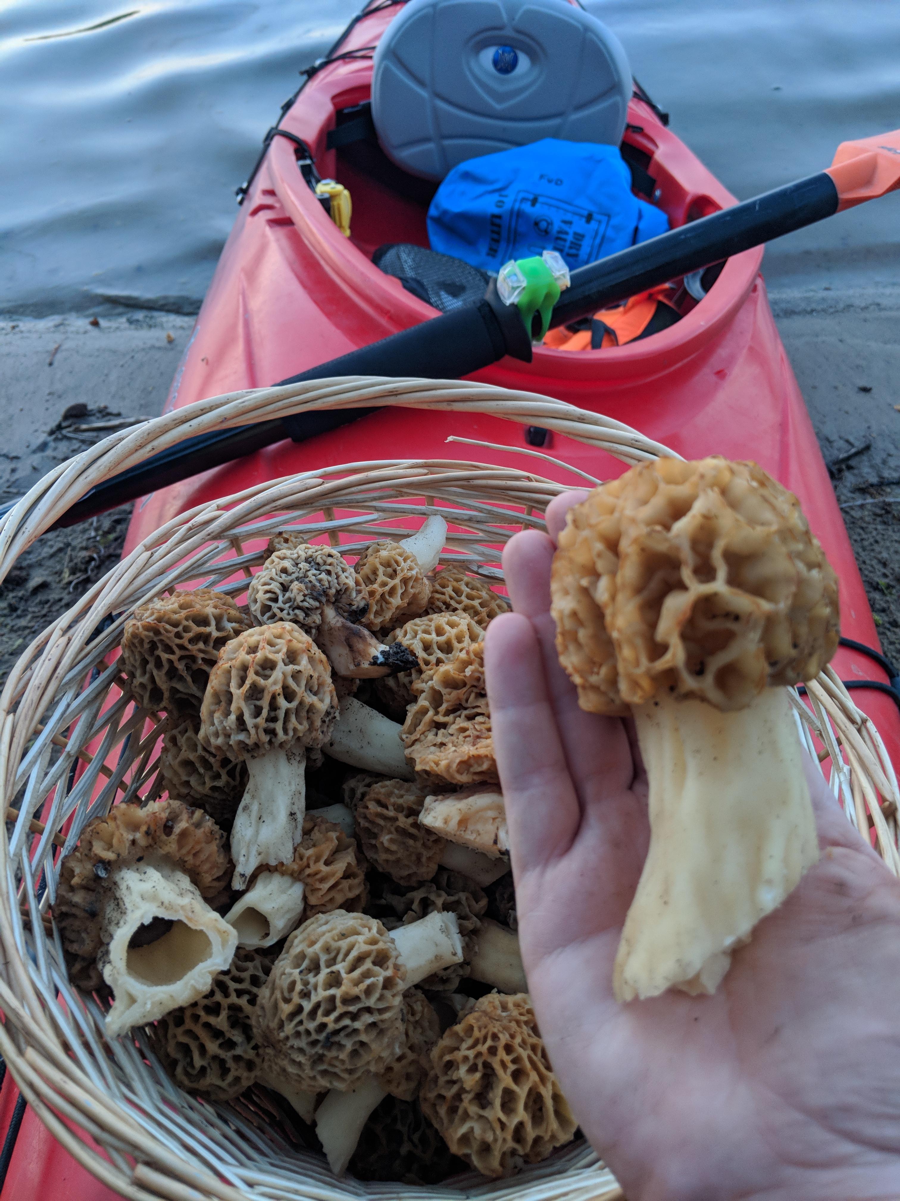Sometimes kayaks can help find hidden treasures! | Scrolller