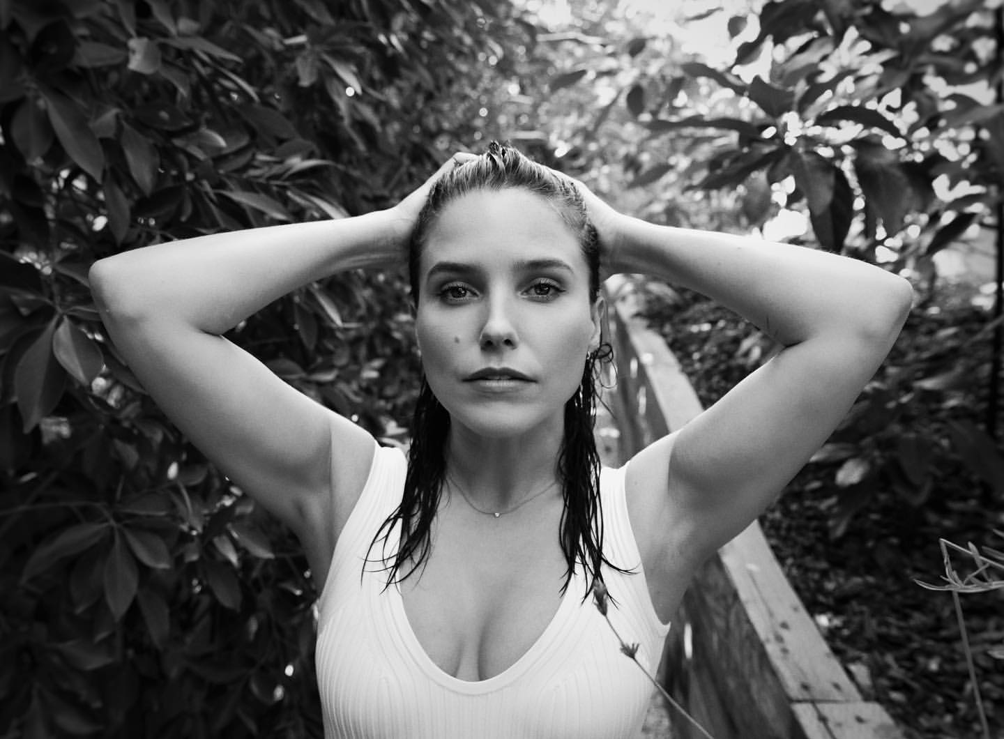 Sophia Bush | Scrolller