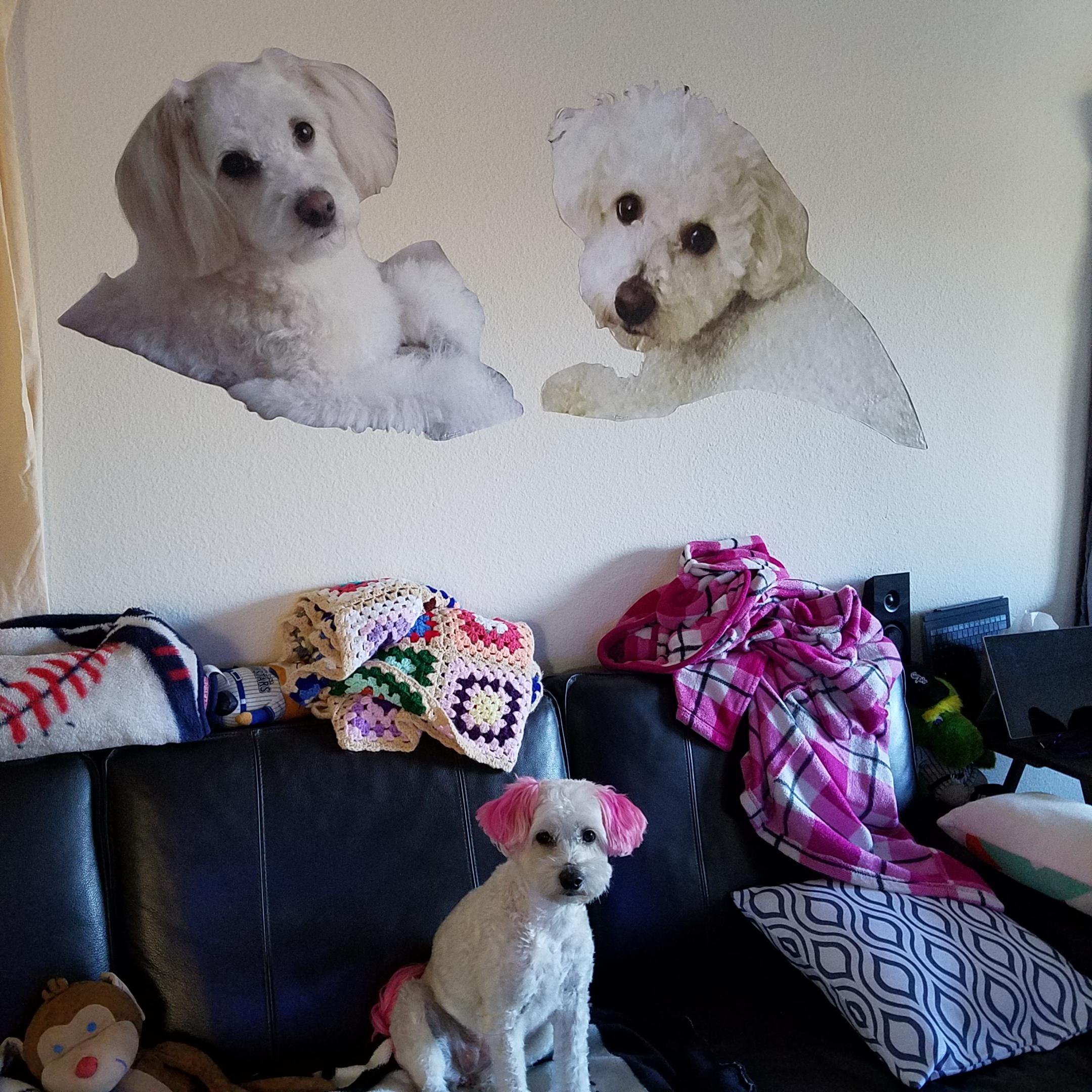 Sophie says hellooo.. | Scrolller