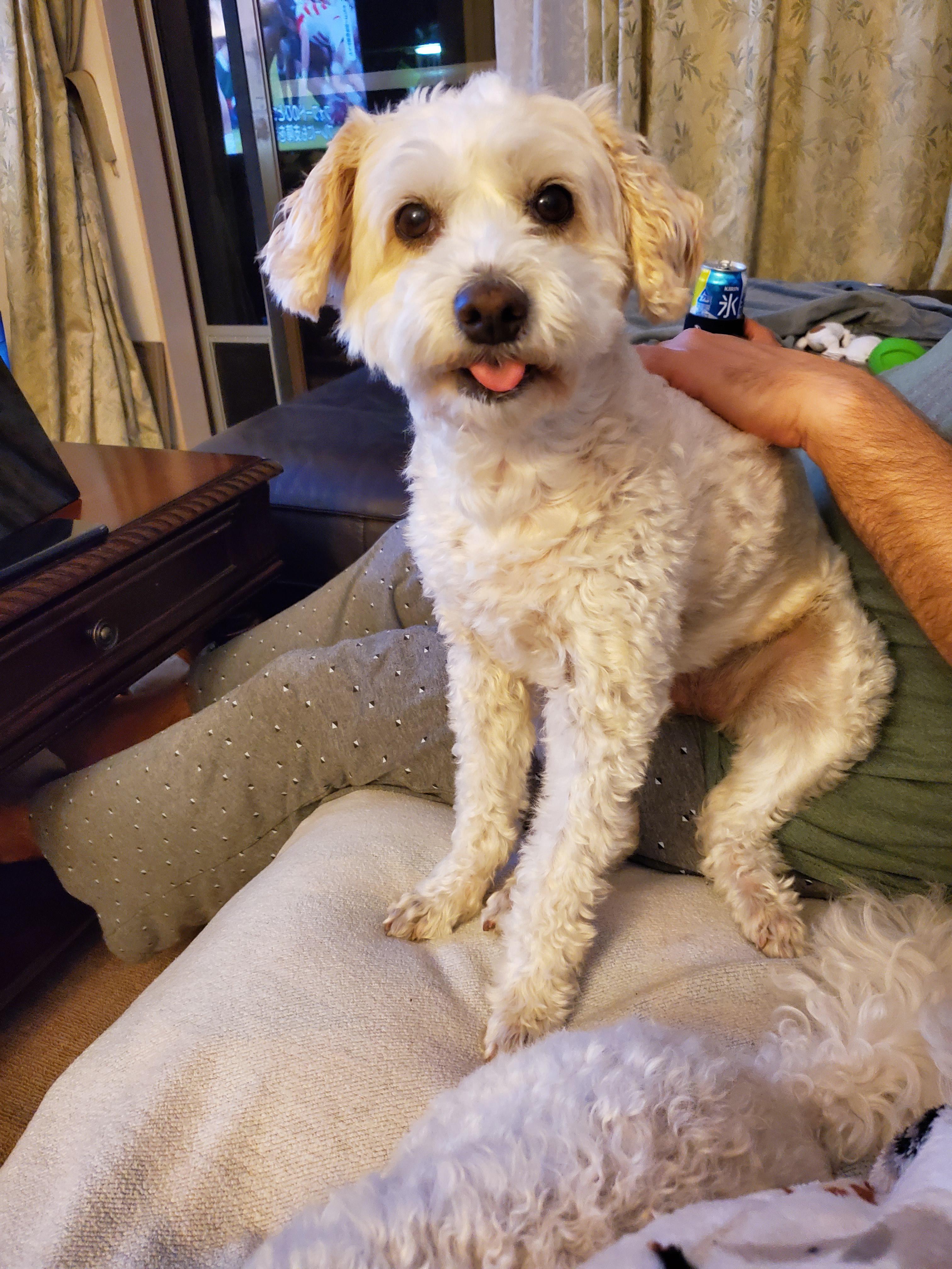 Sophie sittin on dad with a mlem | Scrolller