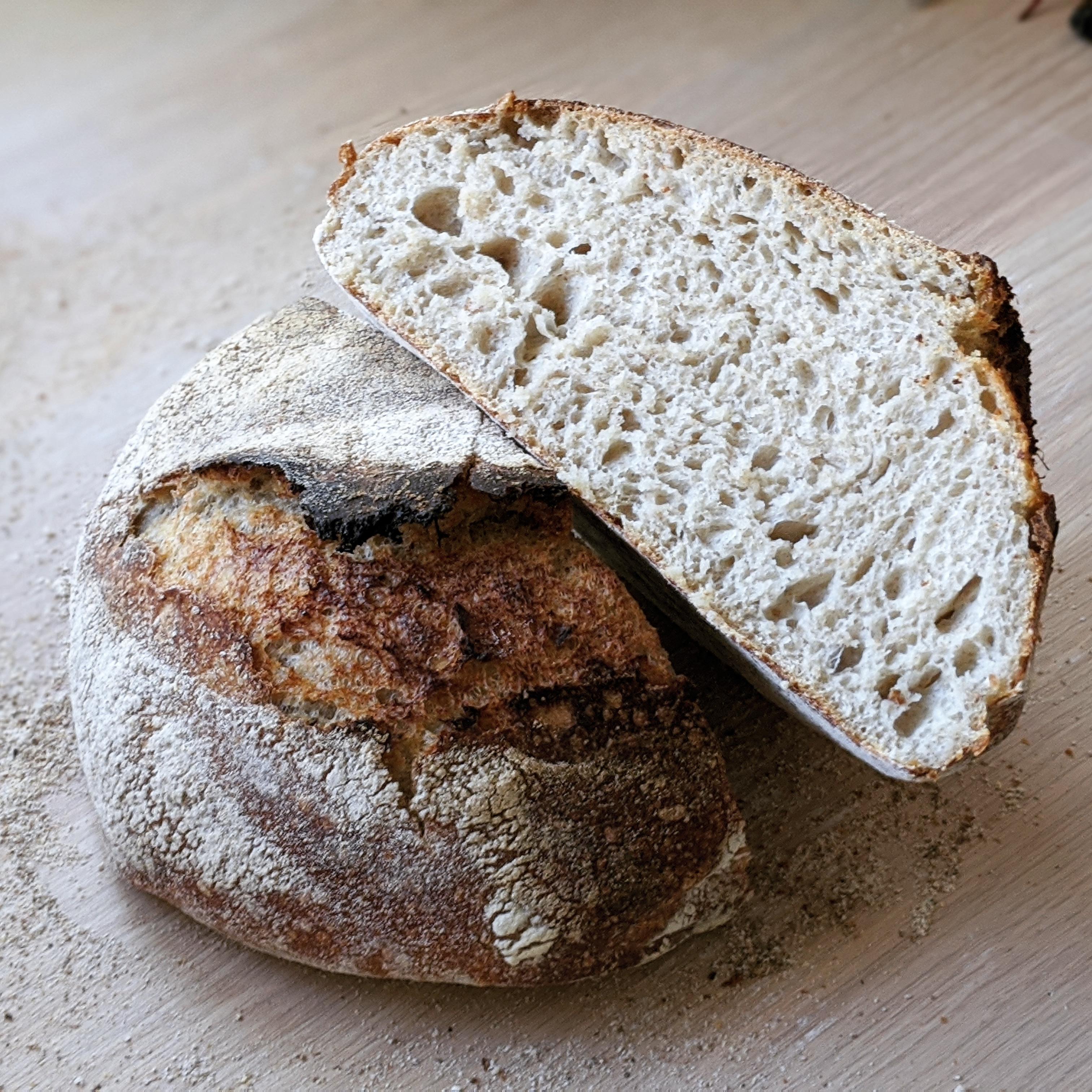 Sourdough try #1 | Scrolller