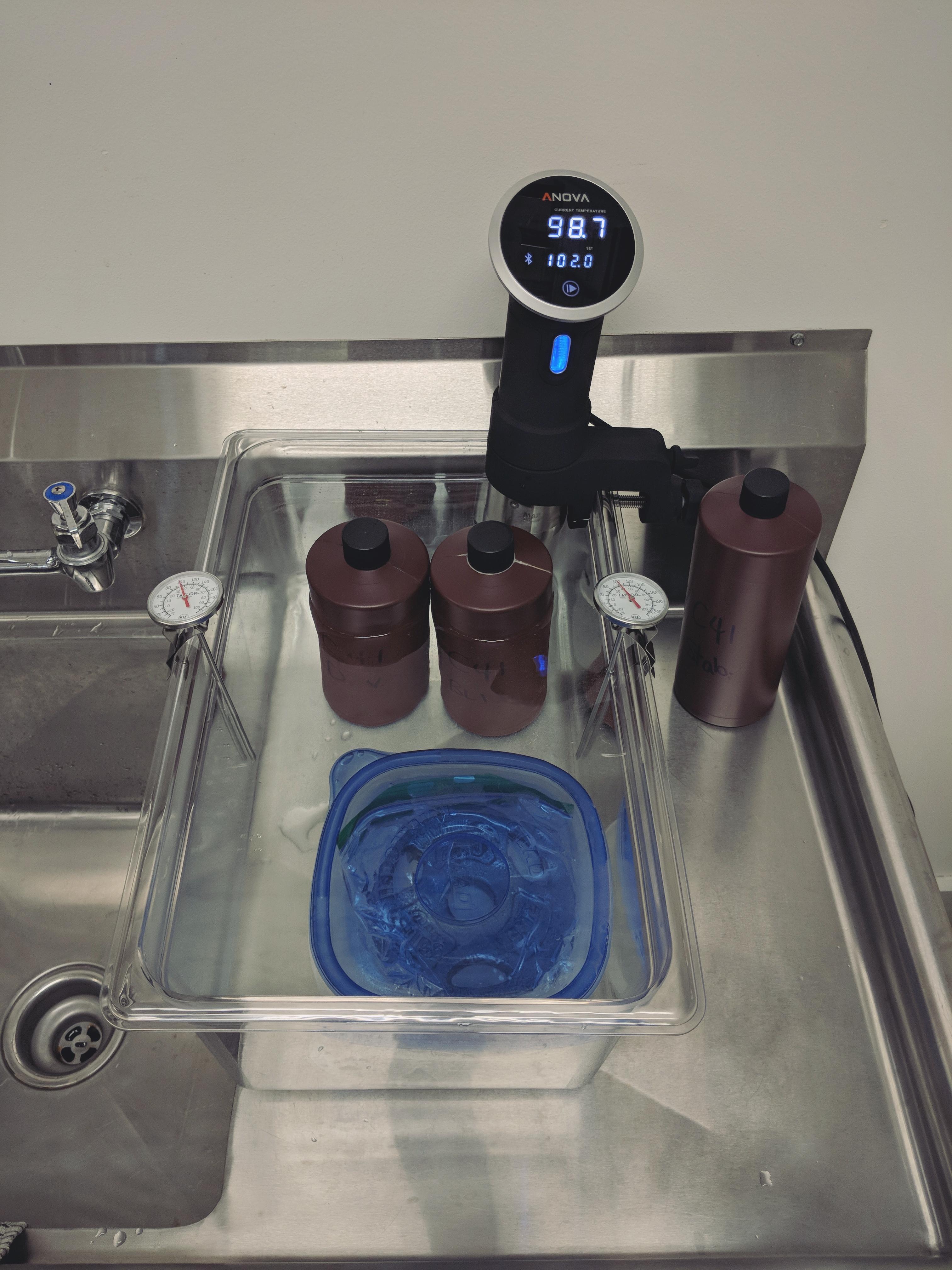Sous vide setup for warming/holding | Scrolller