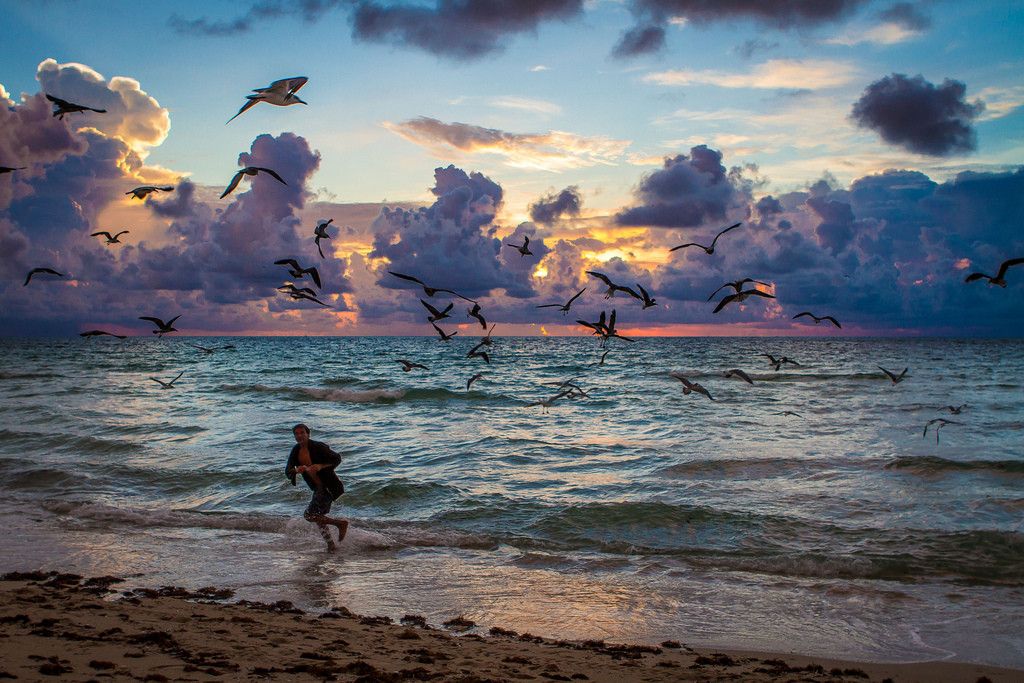 South Beach sunrise. [1024 x 683][OC] | Scrolller