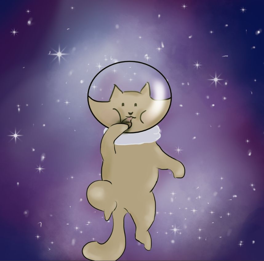 Space Cat! | Scrolller