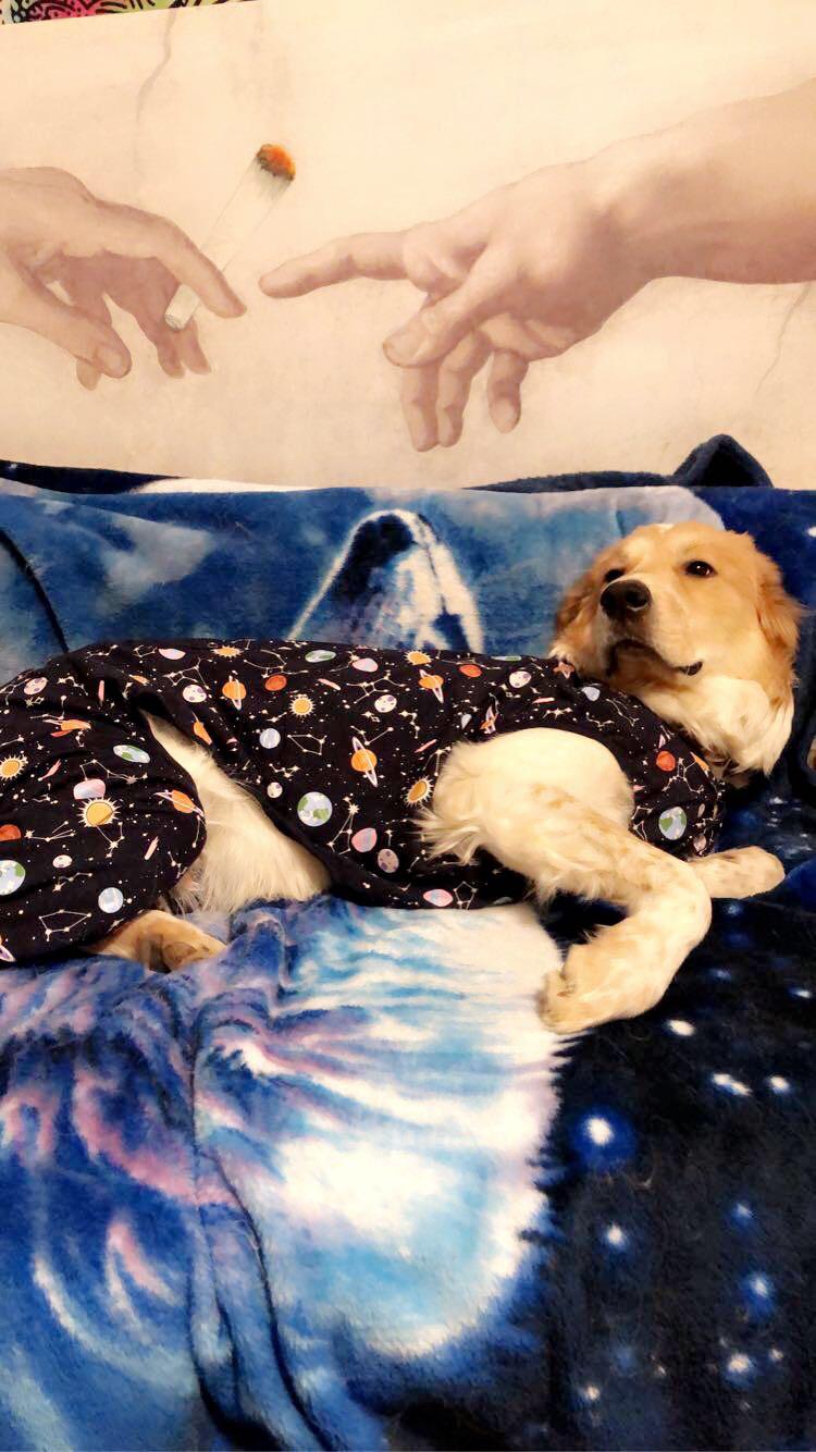 Space Gorl Scrolller