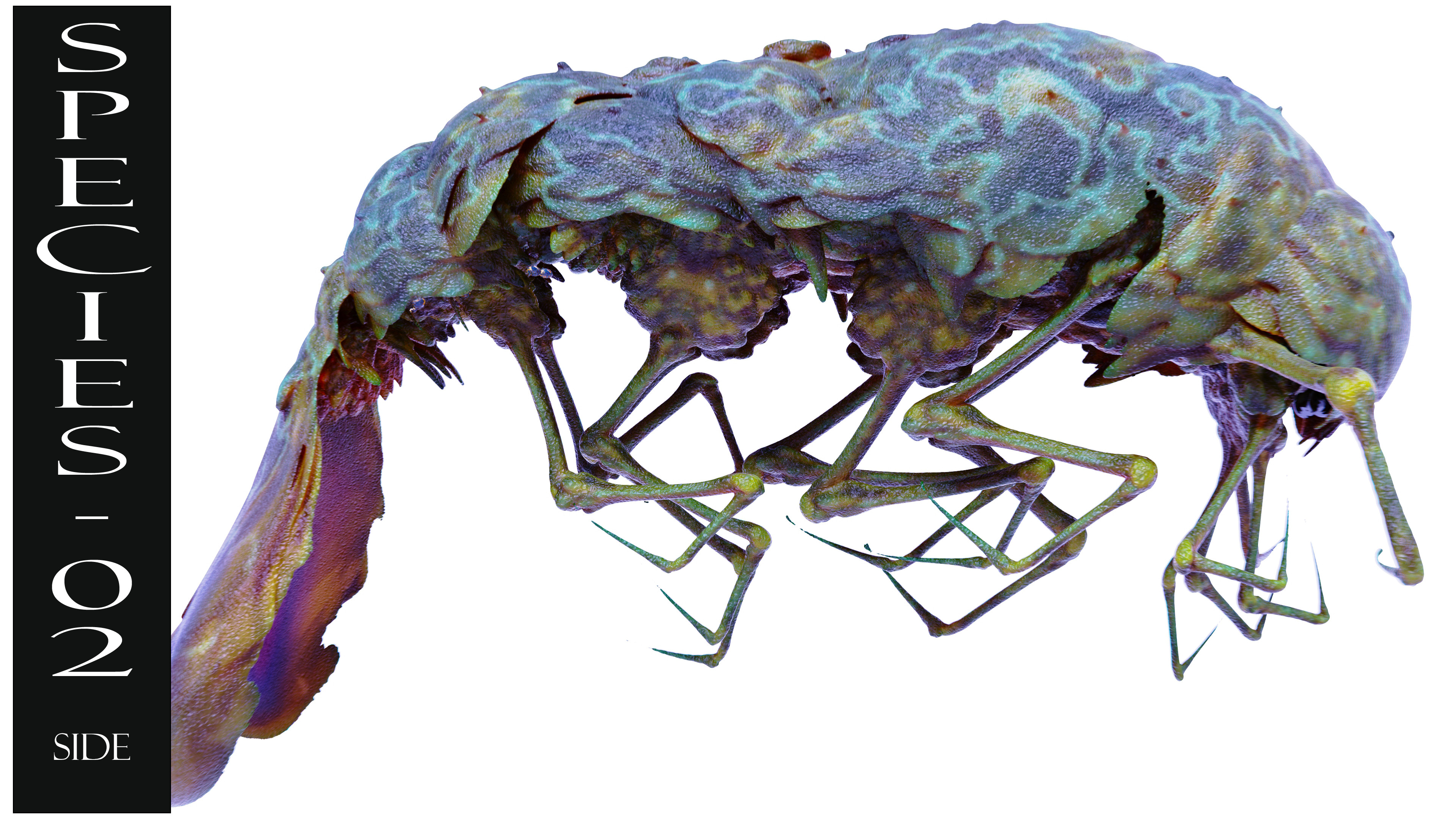 Species - 2 | Scrolller