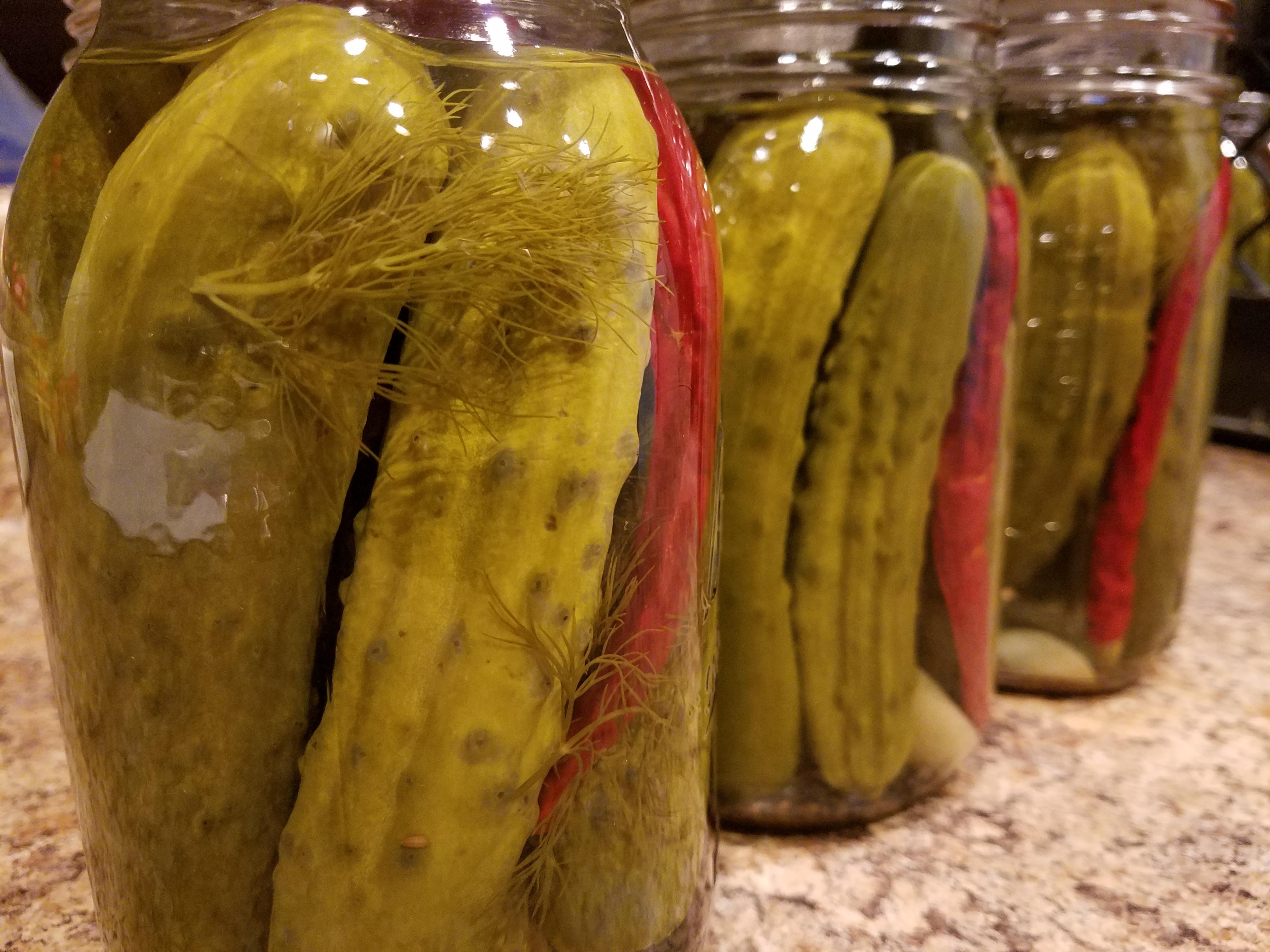 Spicy dill pickles | Scrolller