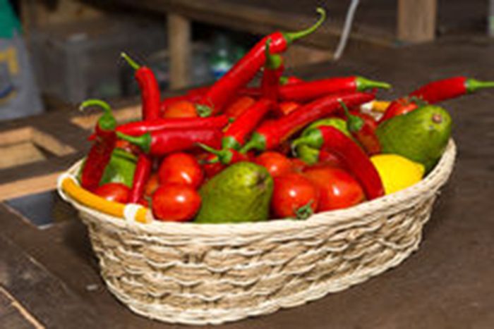 Spicy hot inter-species orgy | Scrolller