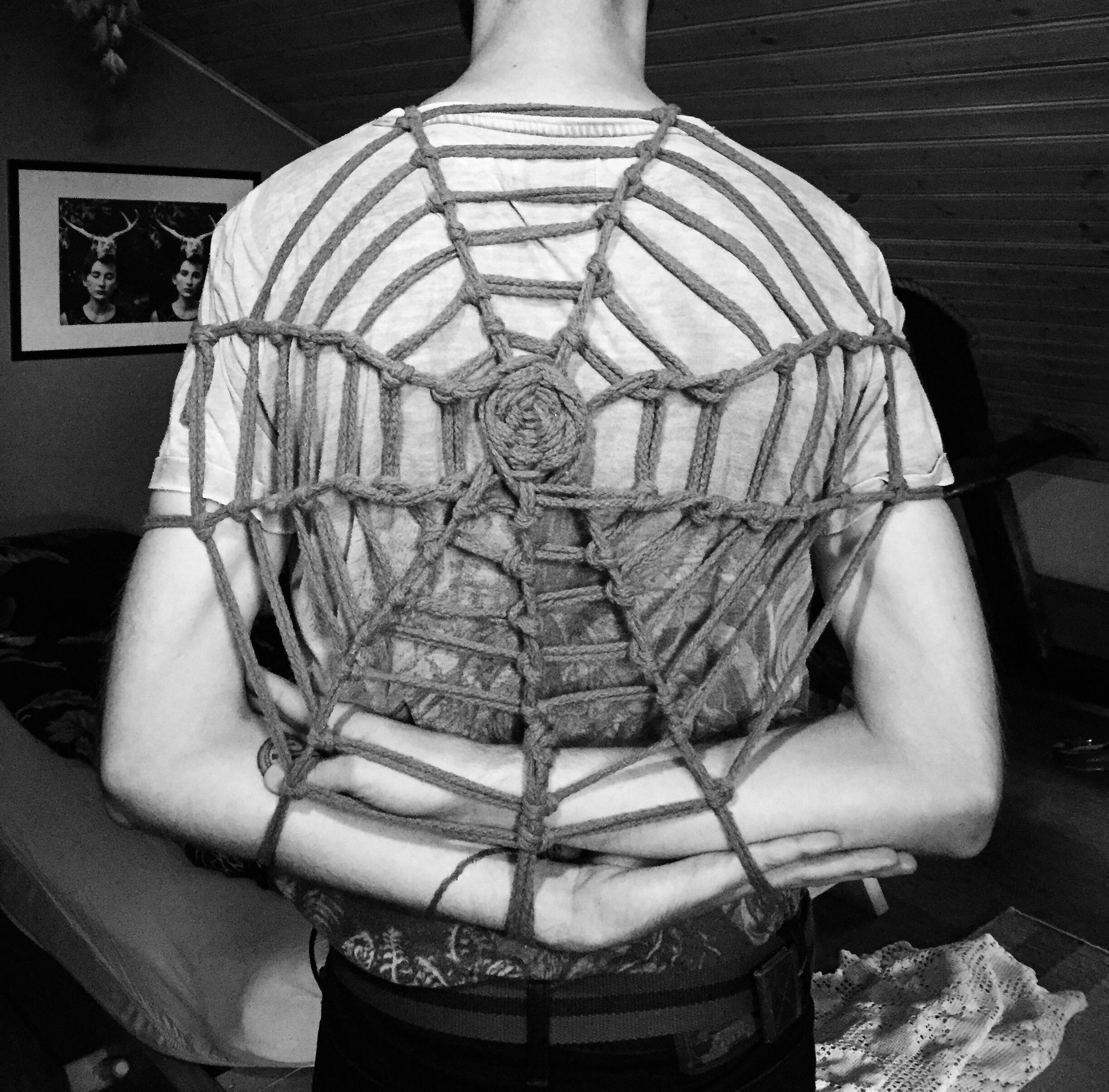 Spider web | Scrolller