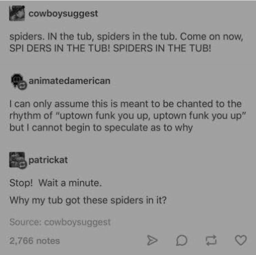 Spiders IN the tub! | Scrolller