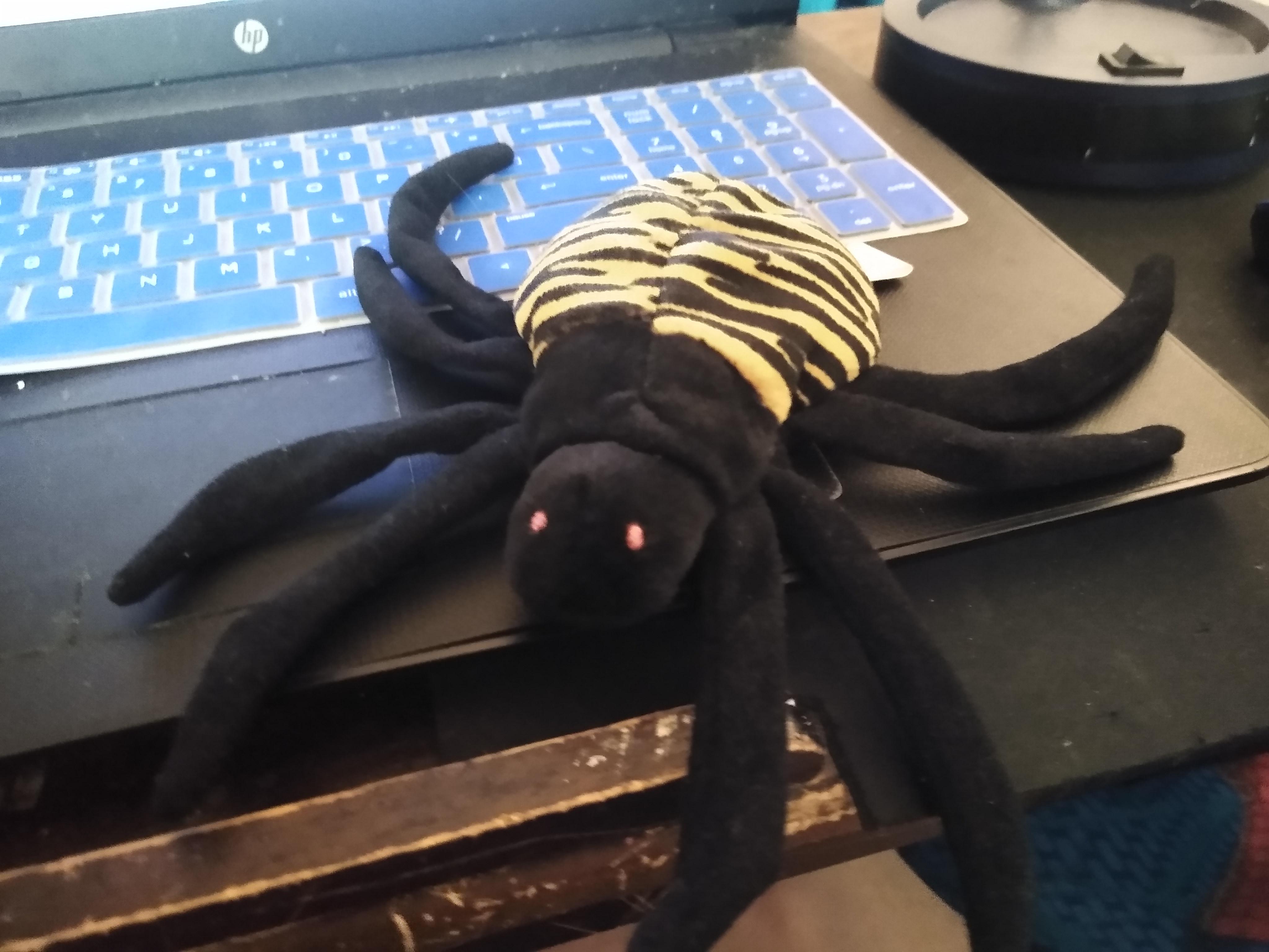 spinner the spider [1997] | Scrolller