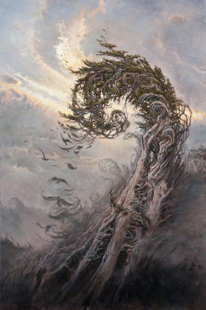 Spiral Out by Nick Keller | Scrolller