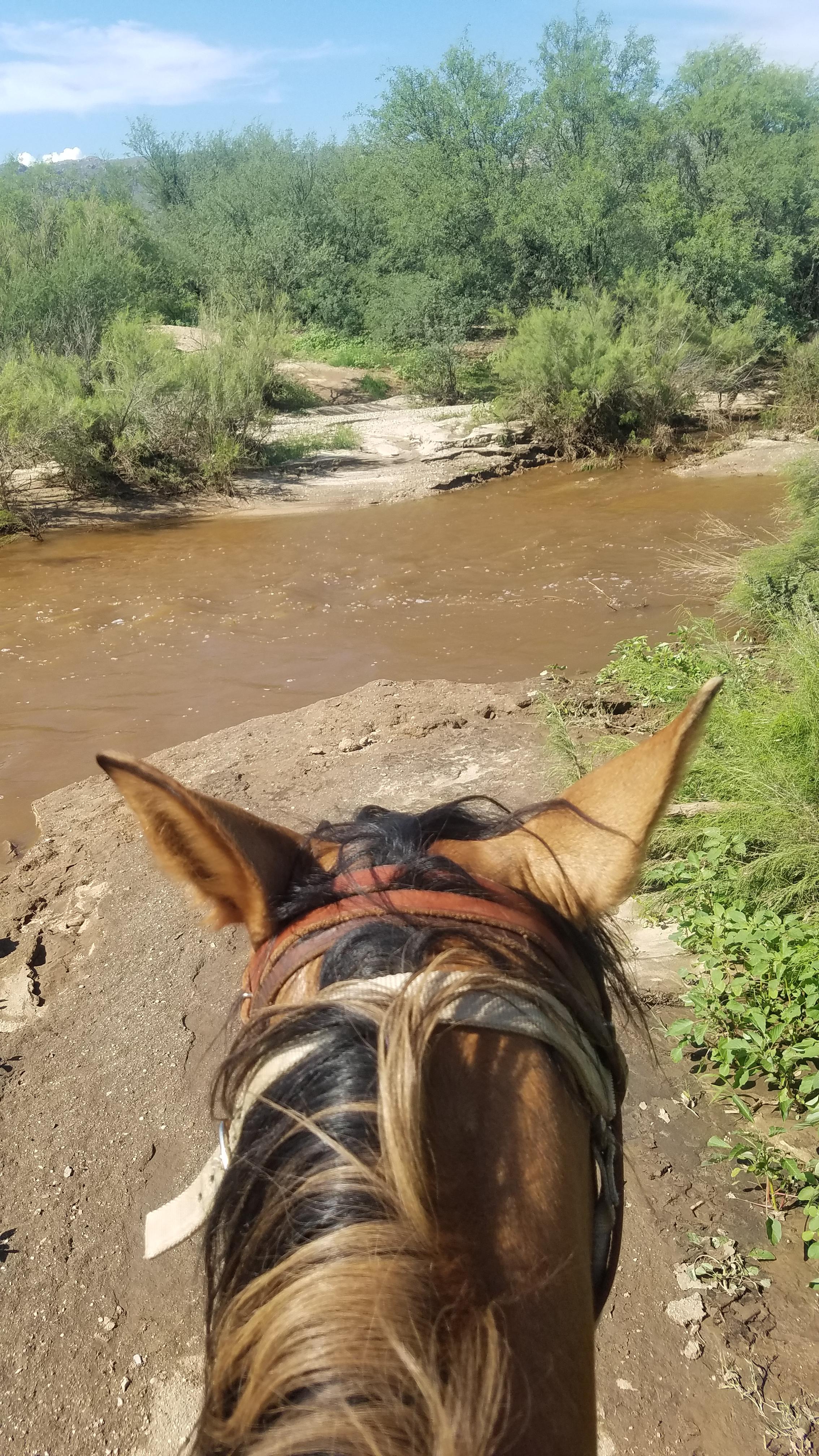 Splish Splash 🤠 | Scrolller