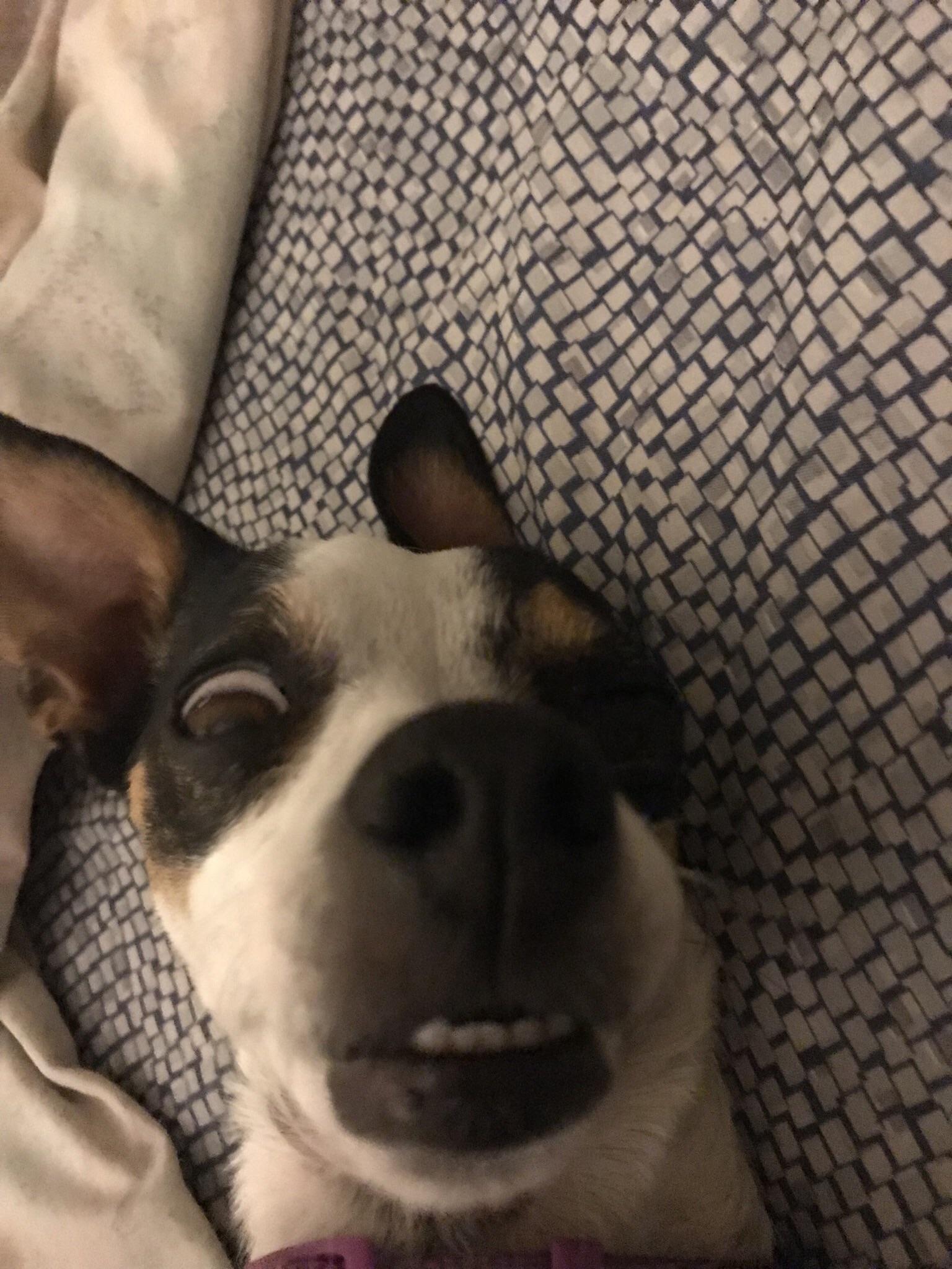 Spooked by the camera! | Scrolller