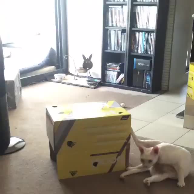 ...Spooked ya! | Scrolller