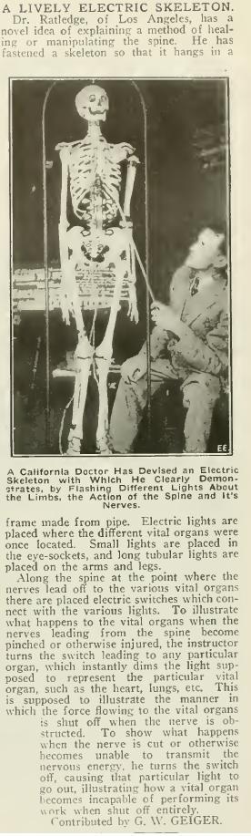 Spooky Electric Skeleton | Scrolller