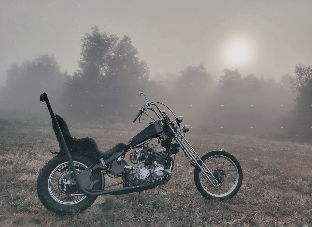 Spoopy 78 CB75000ooo0000oooo0 | Scrolller