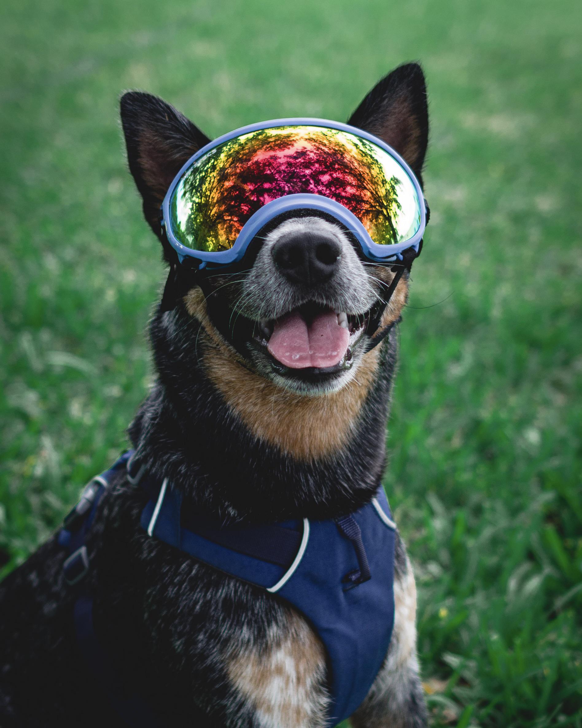 Sport mode engaged 😎 | Scrolller