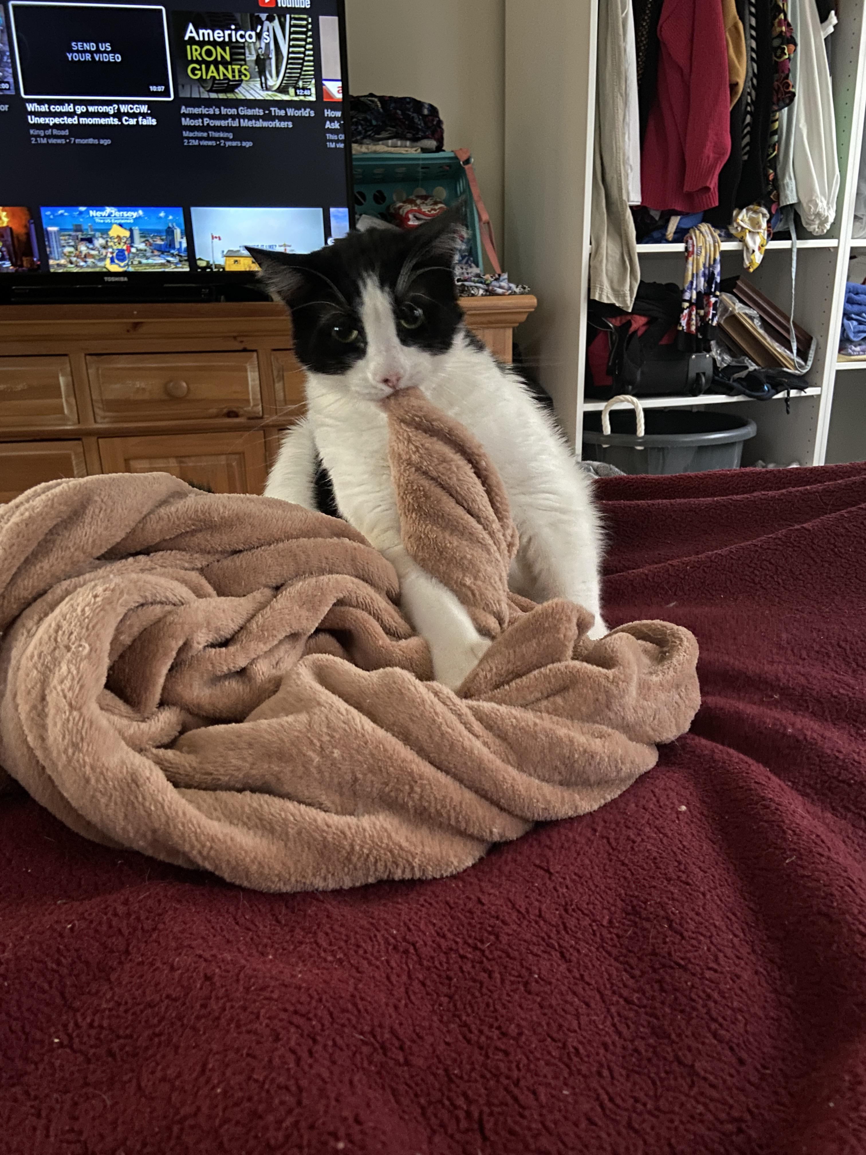 Spot is such a derp. | Scrolller