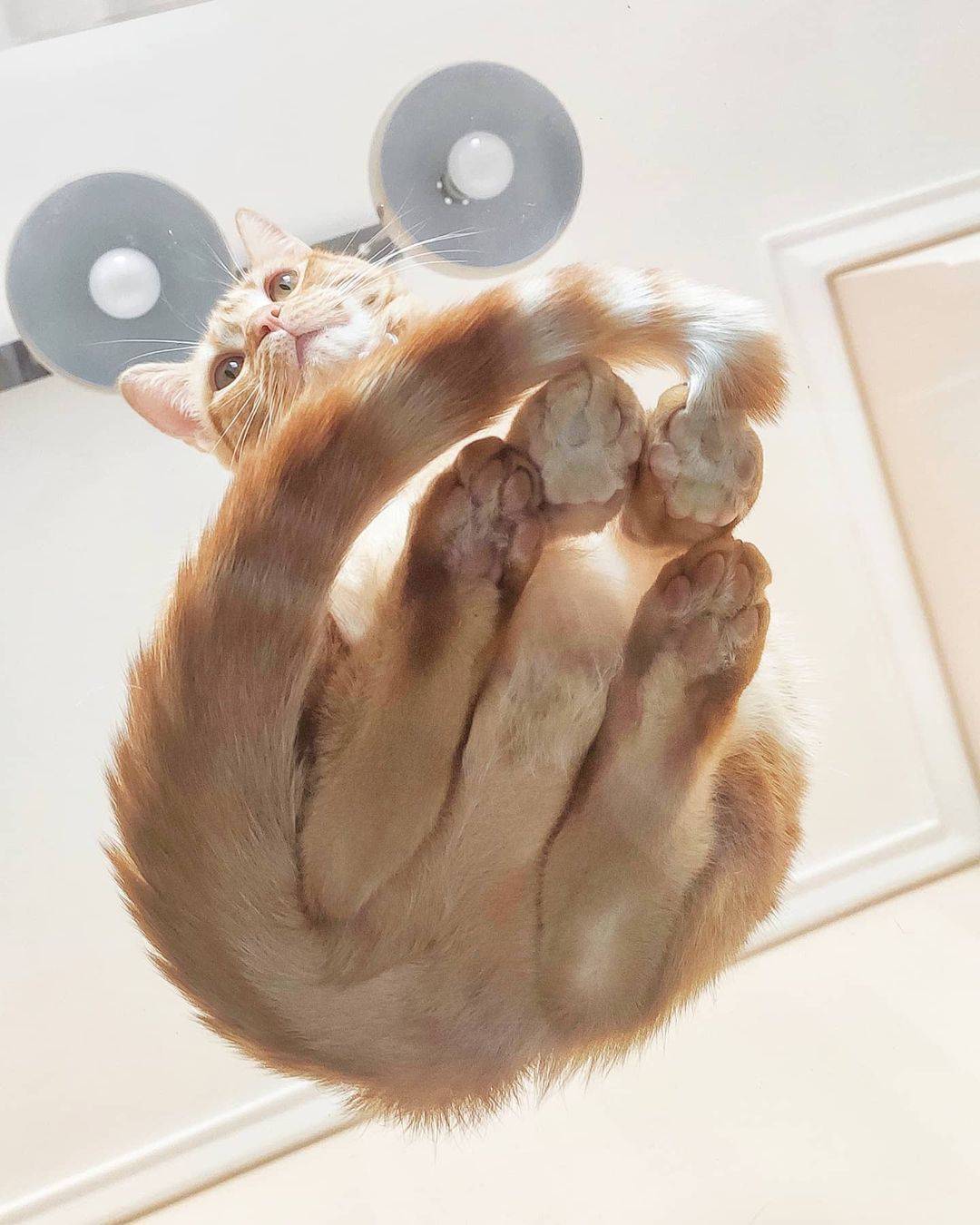 Spotted: Floating beans in the lounge | Scrolller