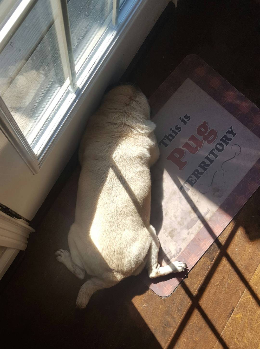 Spread eagle | Scrolller