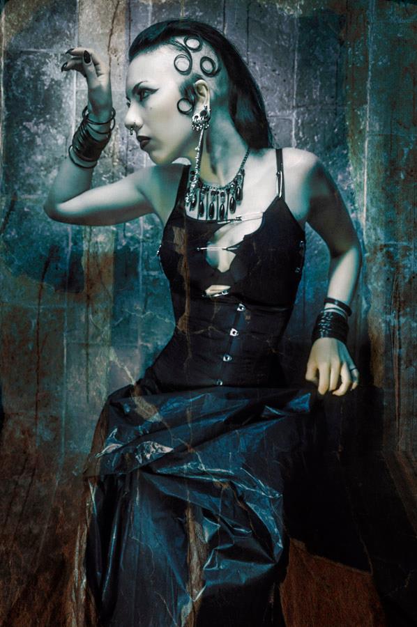 Spunky Gore | Scrolller