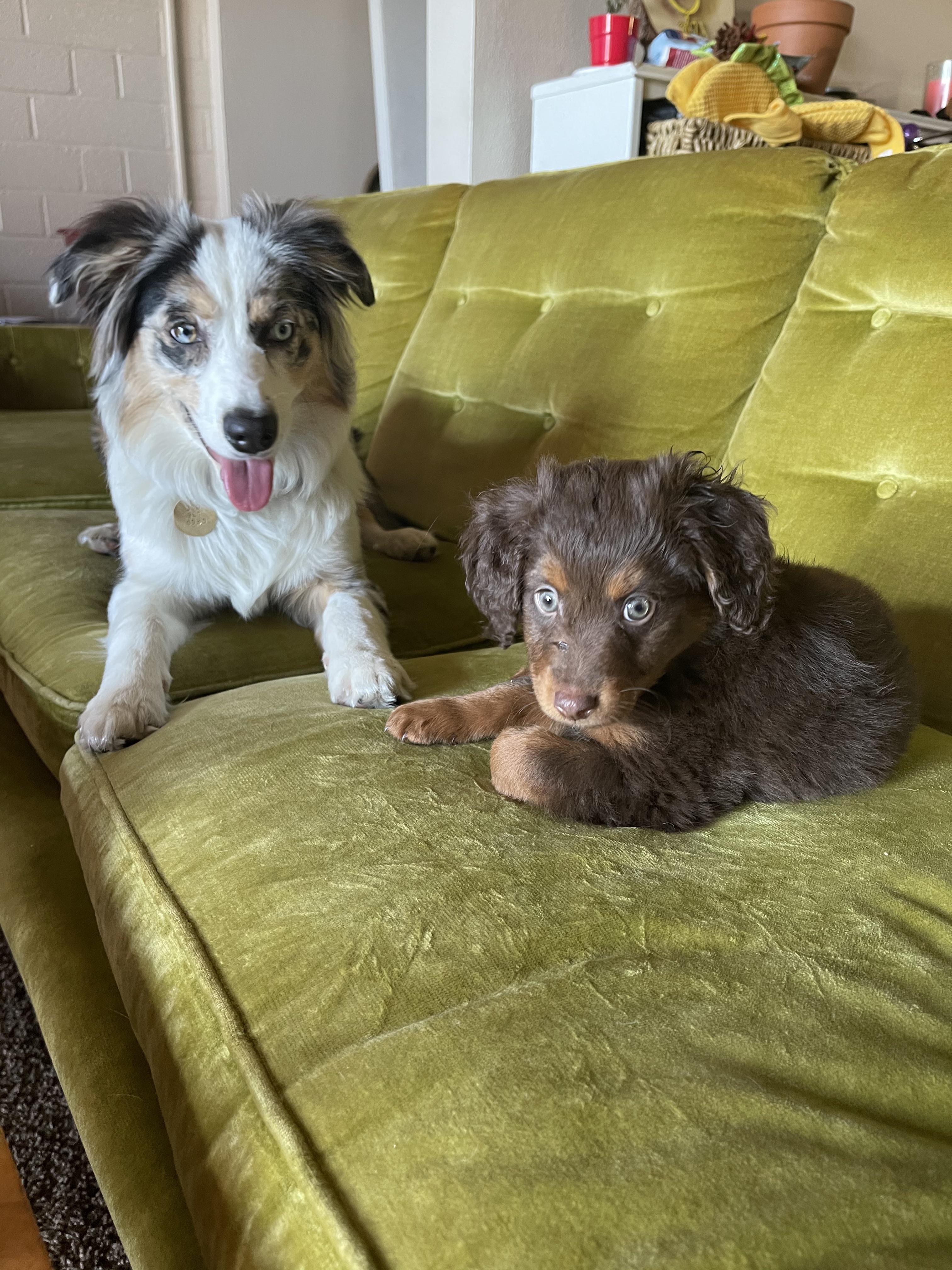 Squad goals 🥰 | Scrolller