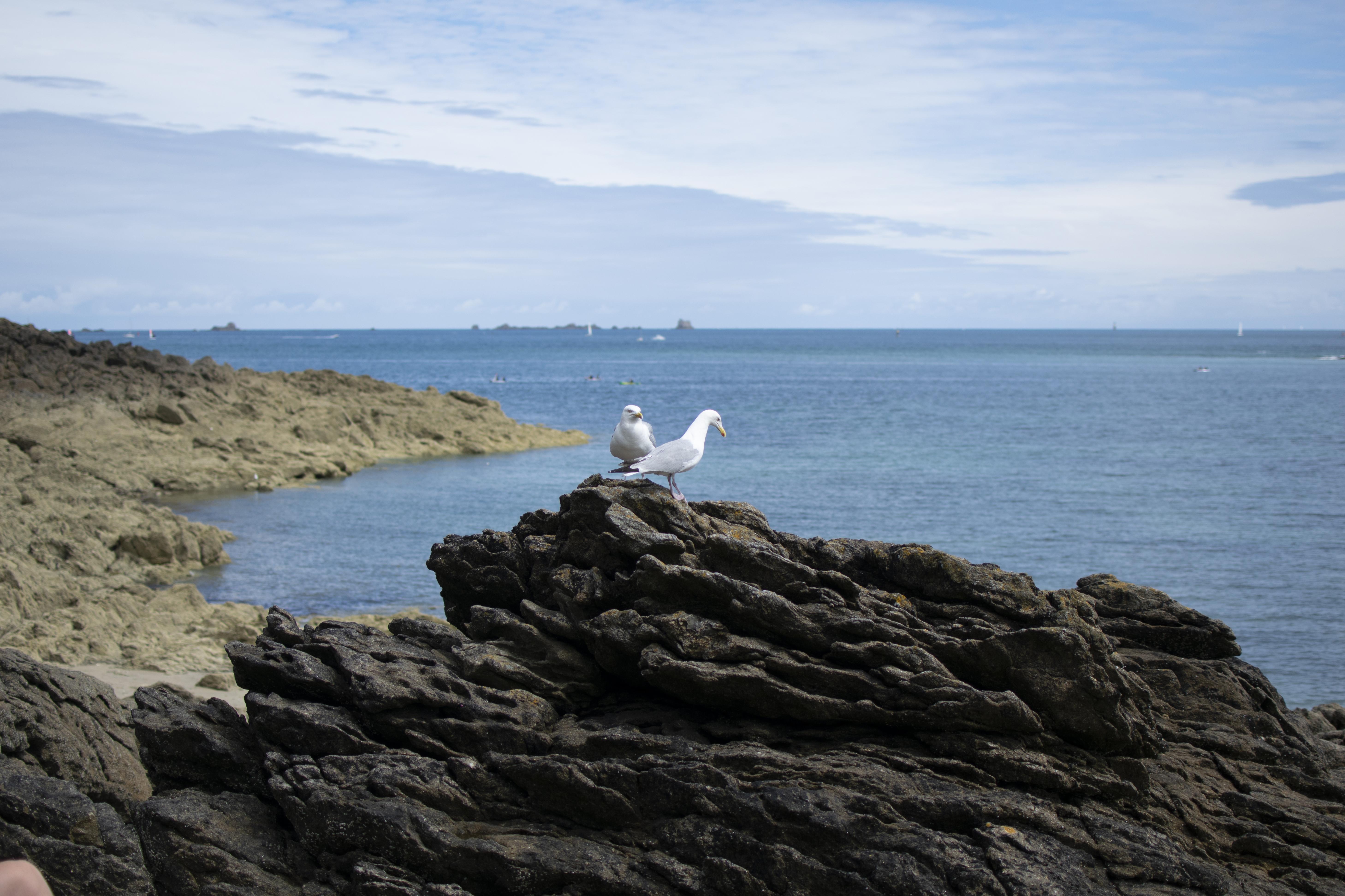 Squad goals | Scrolller