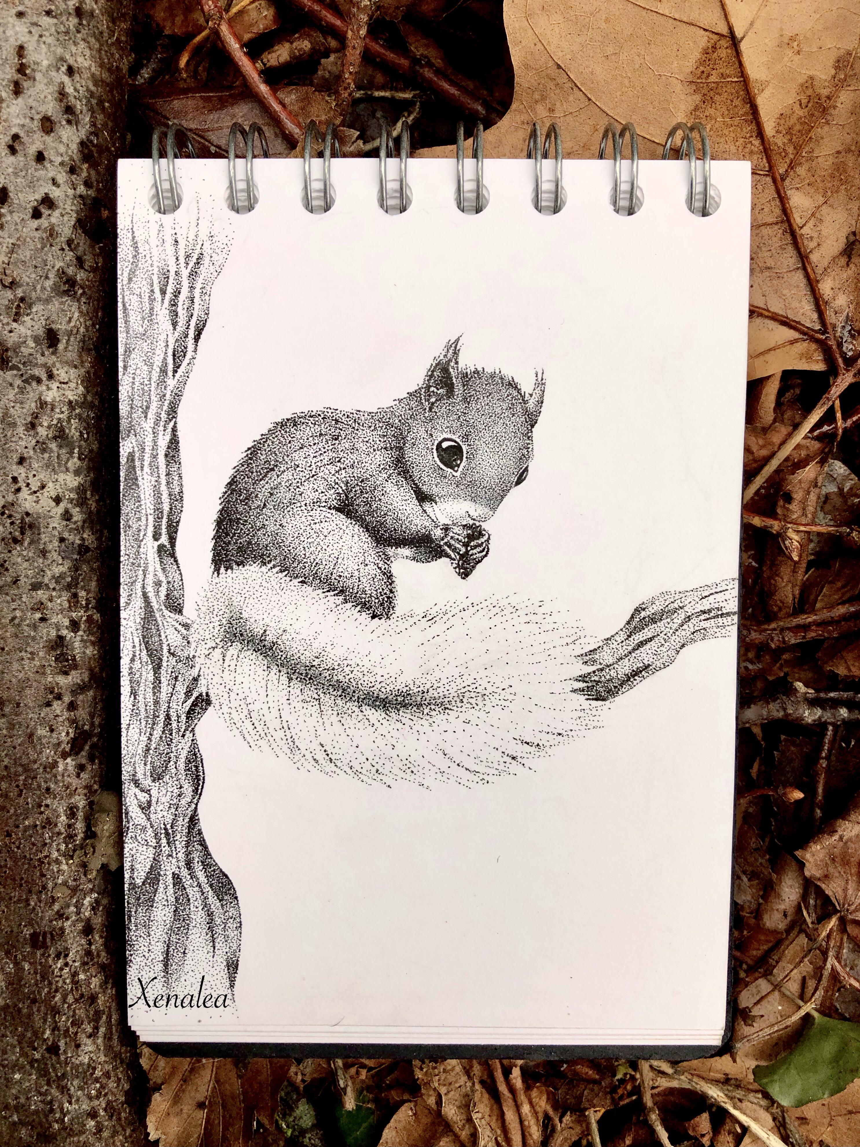 Squirrel, Me, Ink, 2020 | Scrolller