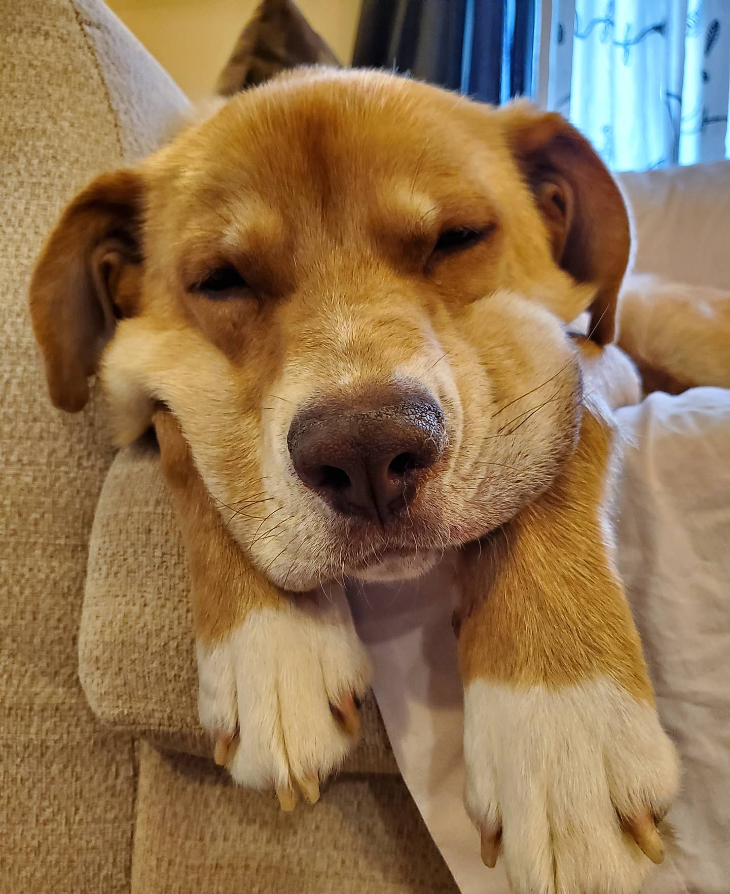 Squish face Sam | Scrolller