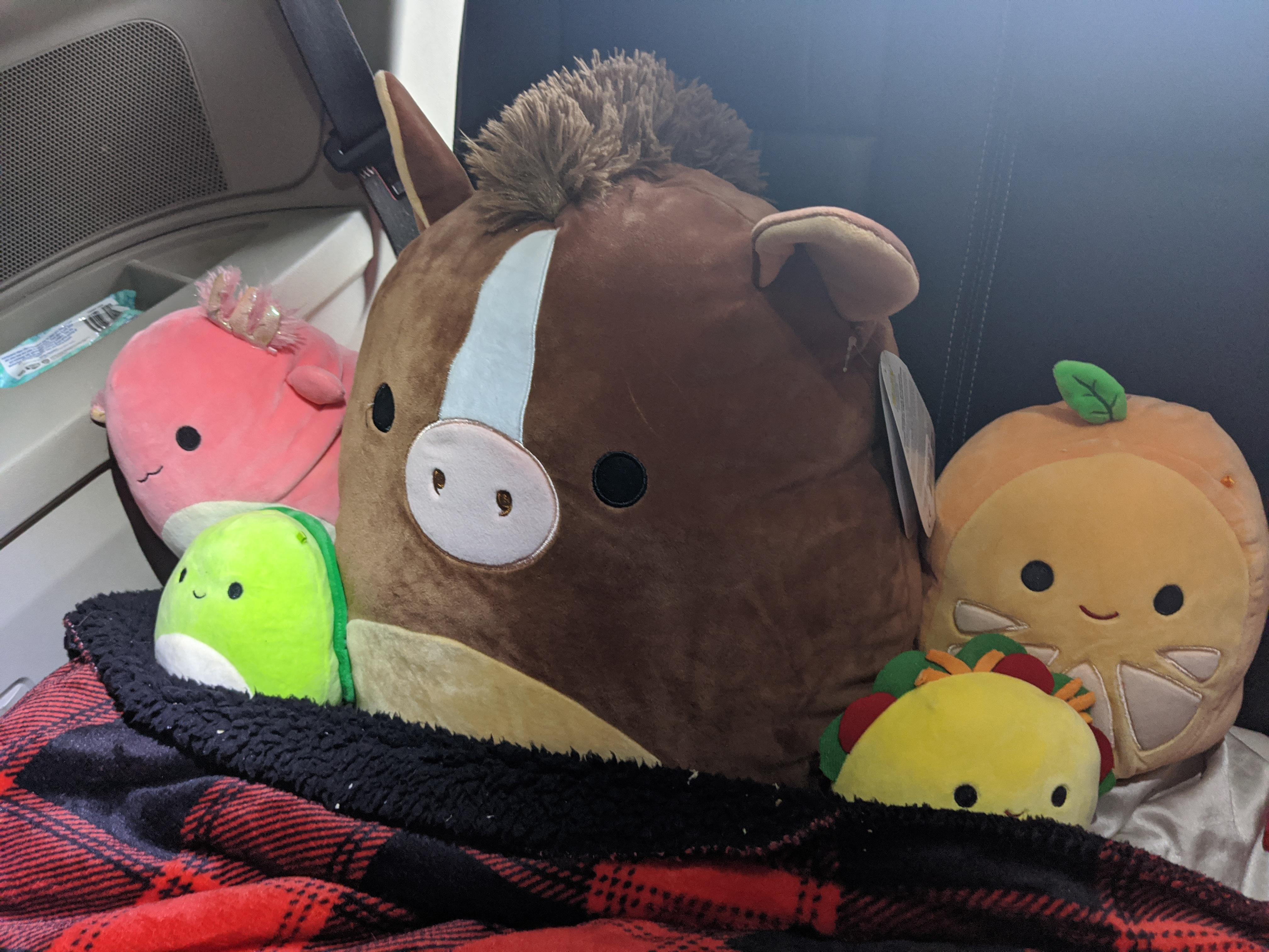 Squishmallow road trip! | Scrolller