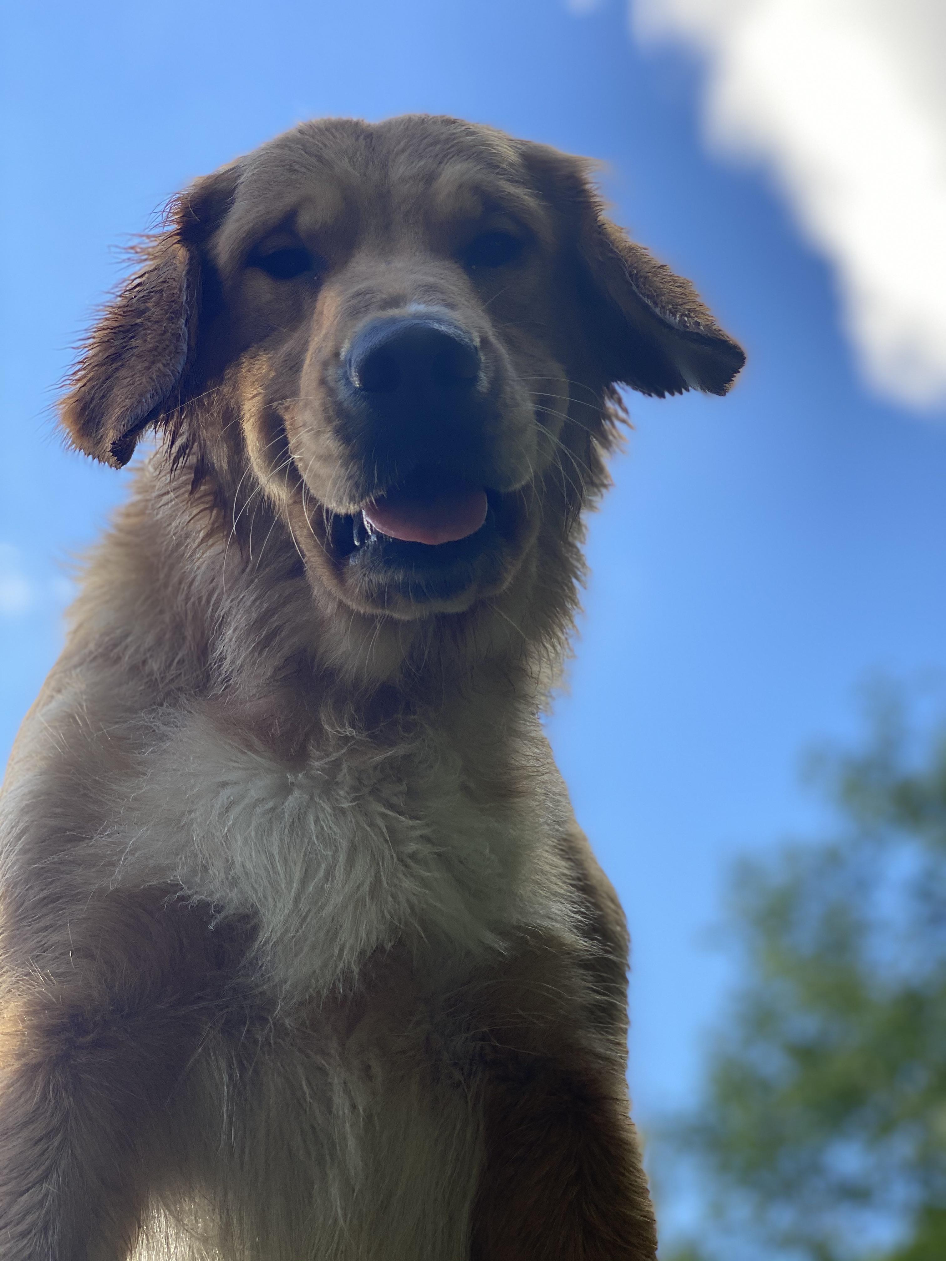 Squishy face! | Scrolller