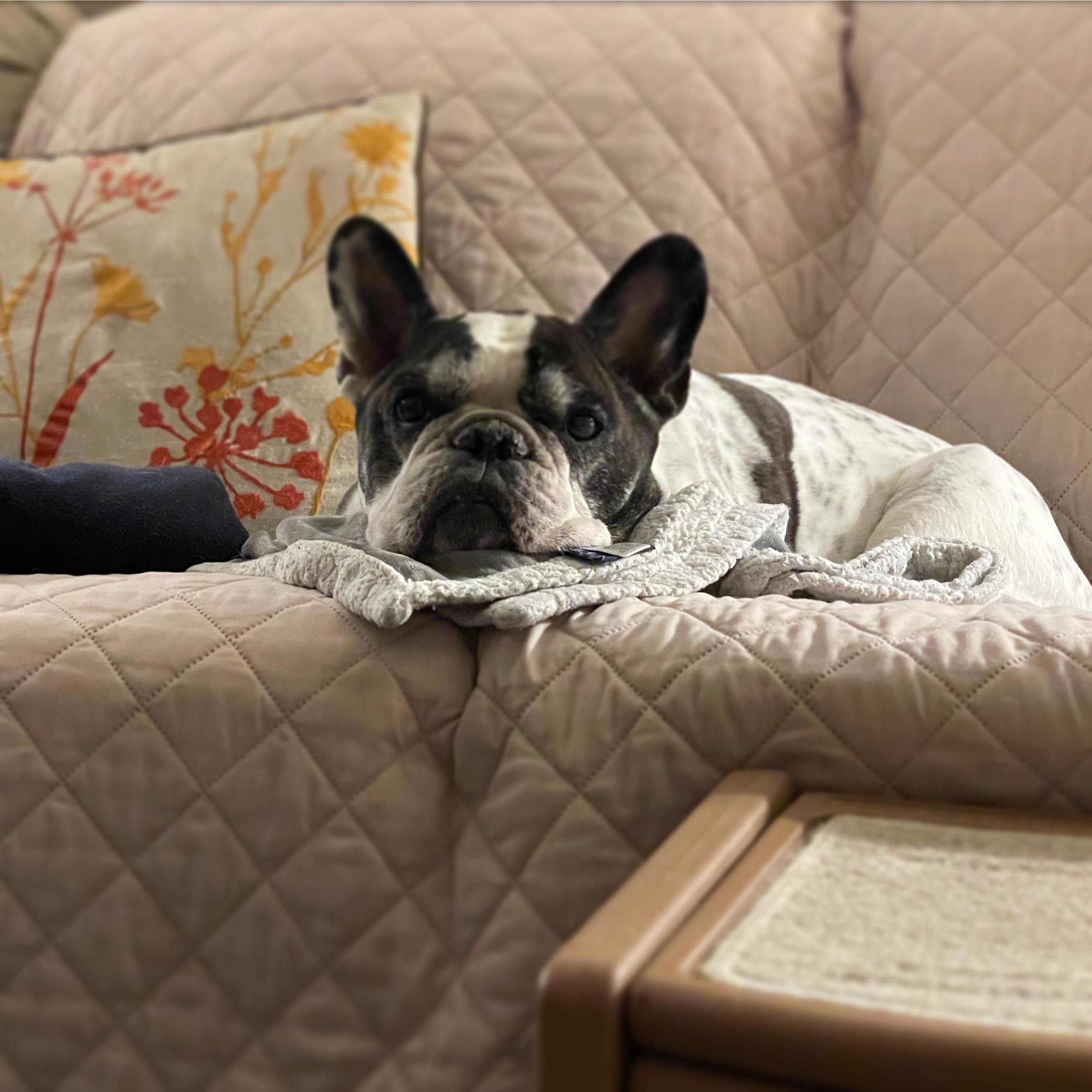 Squishy face | Scrolller