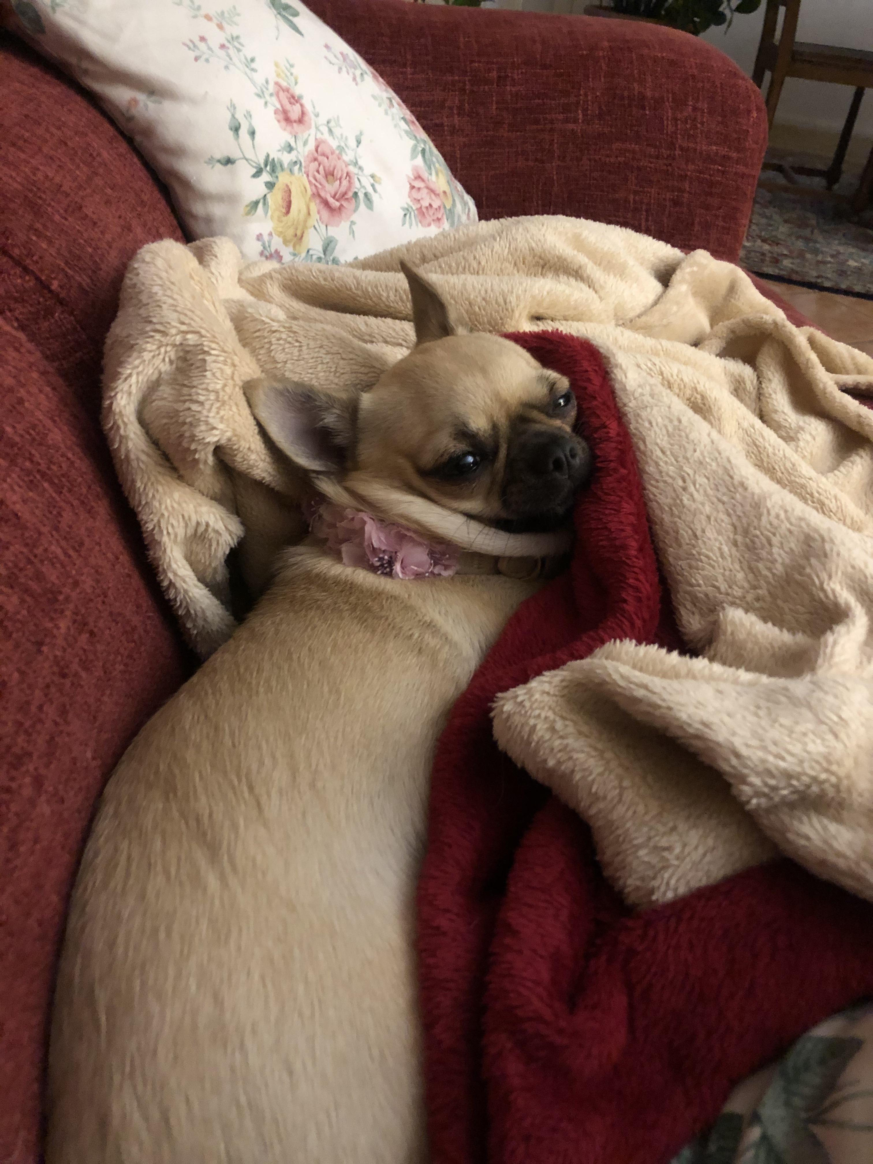 Squishy Mia | Scrolller