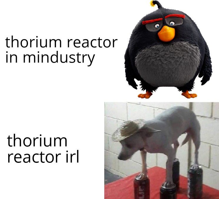 stable af | Scrolller