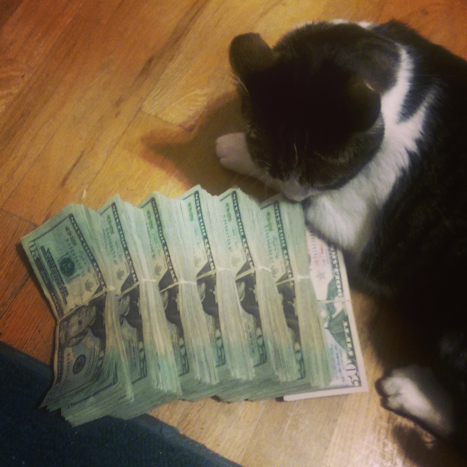 stacks on stacks | Scrolller