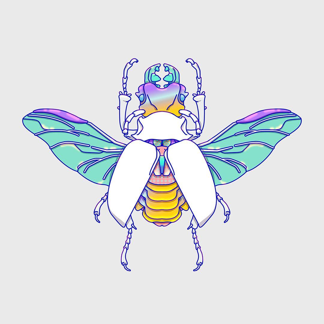 Stag Beetle Drawing | Scrolller