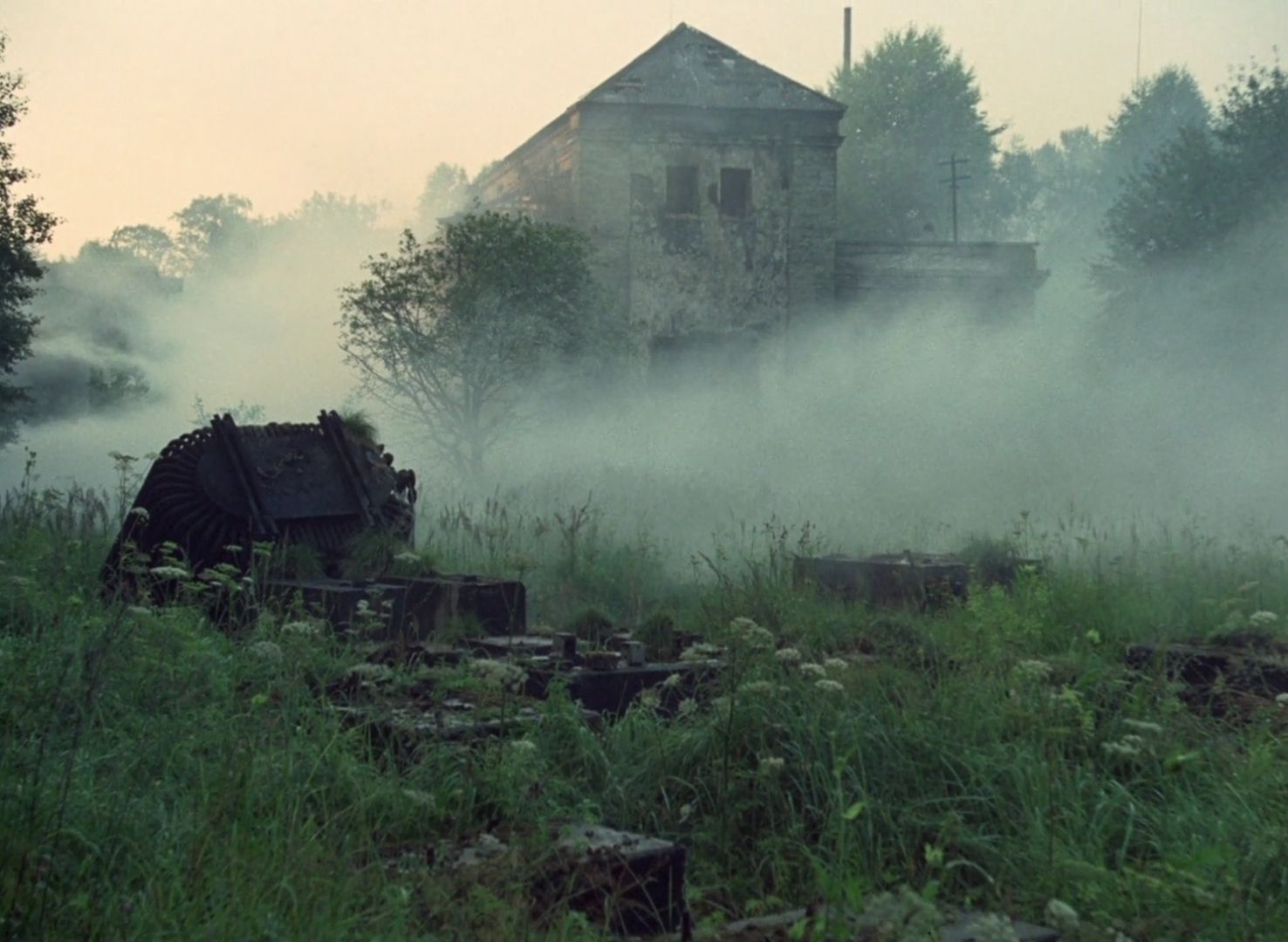 Stalker (1979) | Scrolller